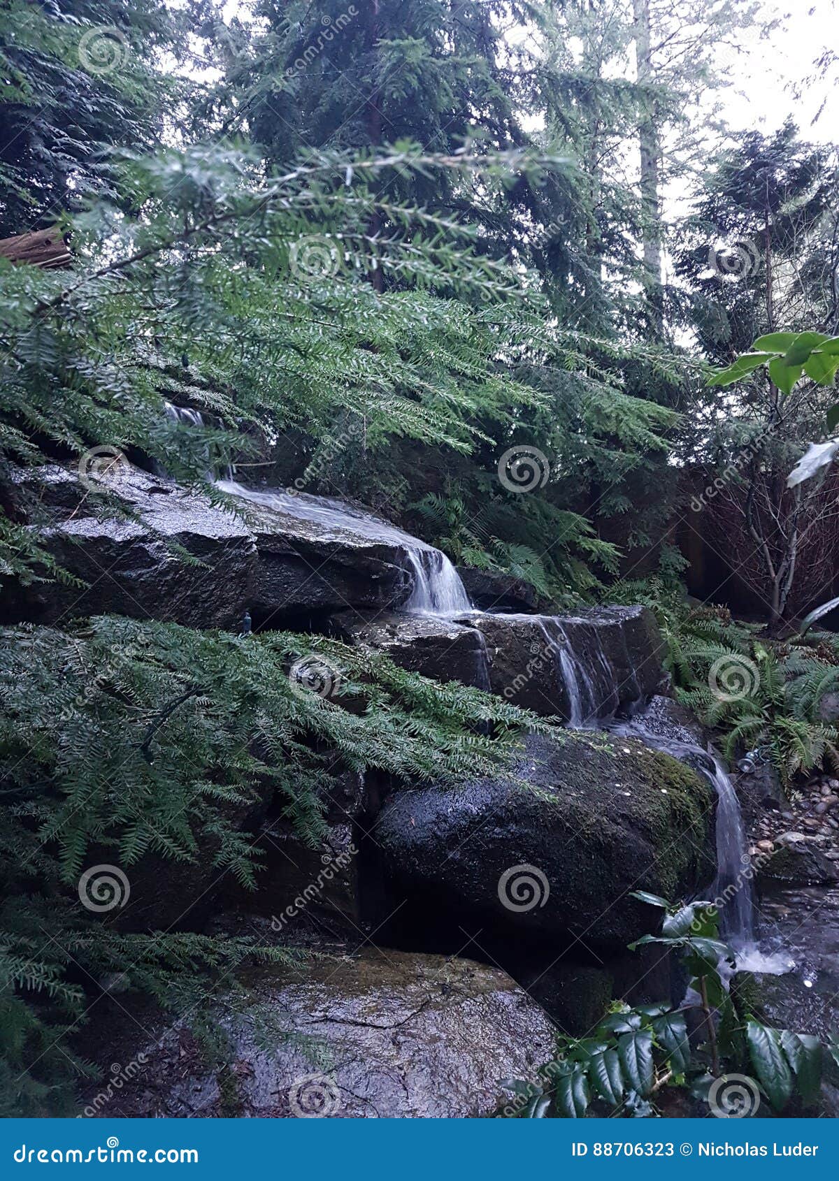 Small stream over rocks stock image. Image of flowing - 88706323
