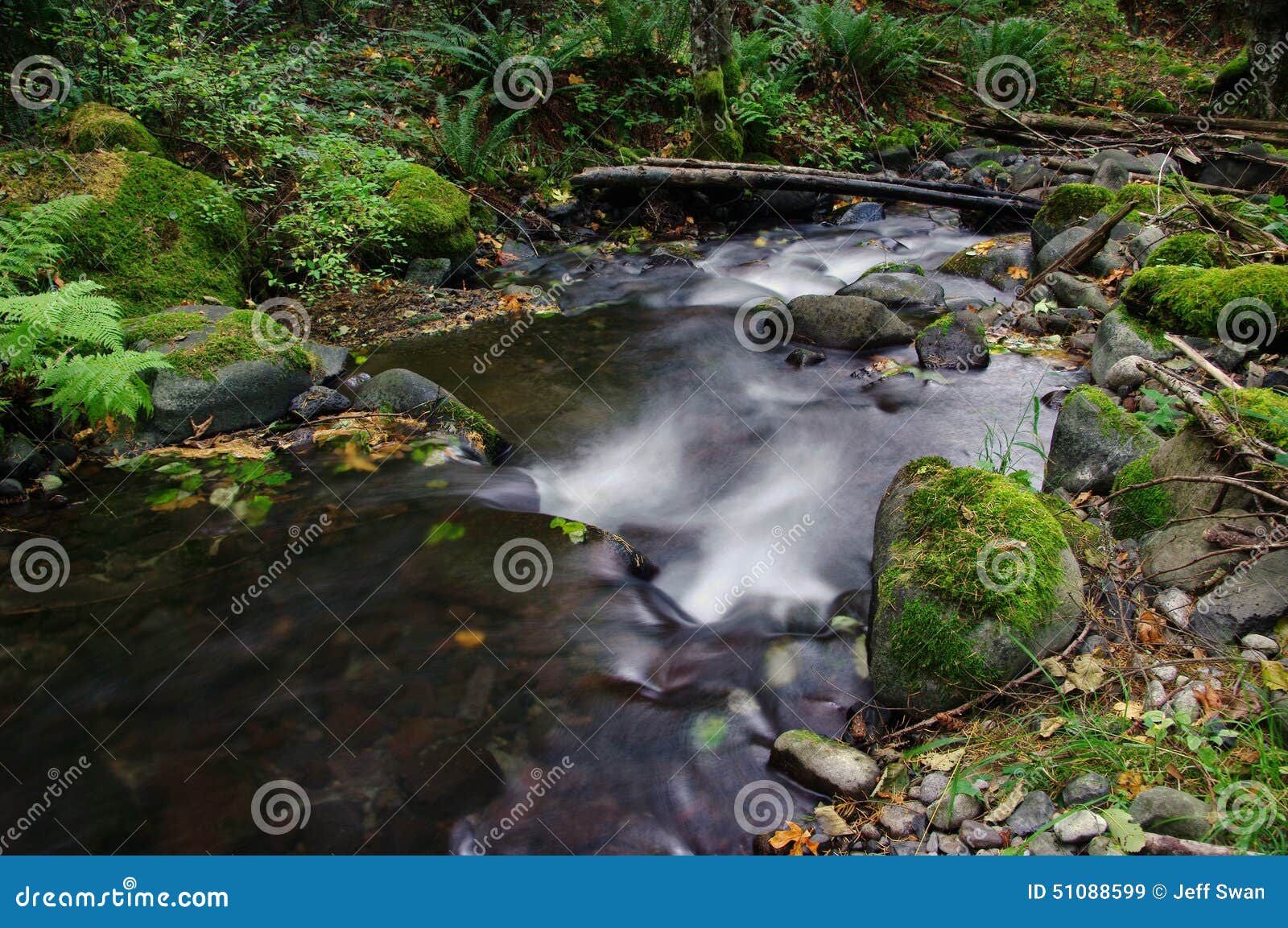 Small stream in paradise stock image. Image of exposure - 51088599