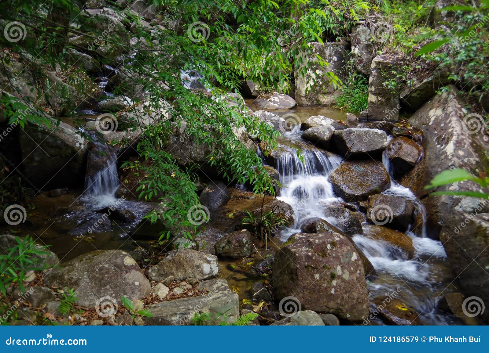 Small Stream in the Rainforest. it Makes Up those Small but Very ...