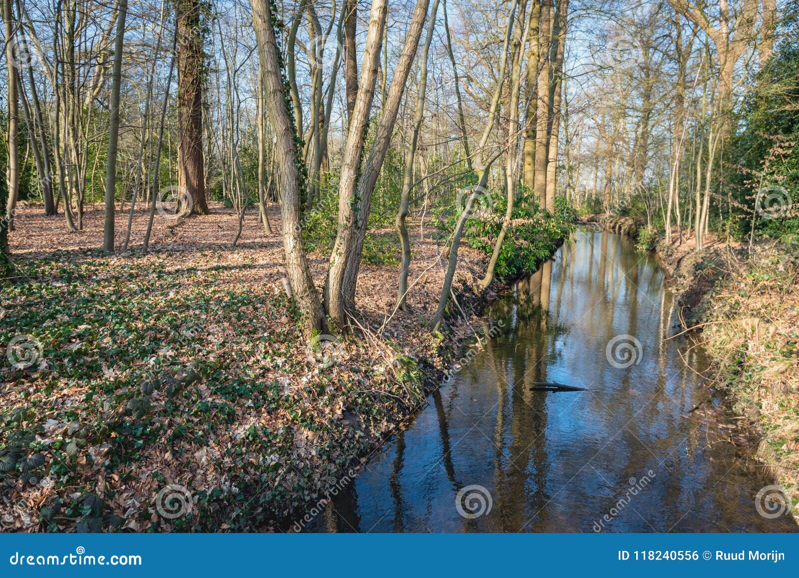 Small Stream with a Reflecting Surface in a Forest in Autumn Col Stock ...