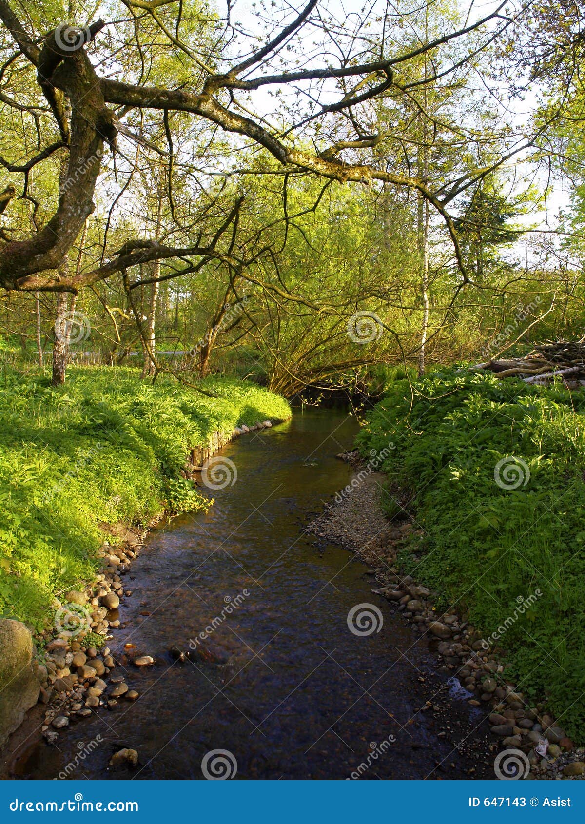 Small stream or river stock image. Image of creek, environmental - 647143