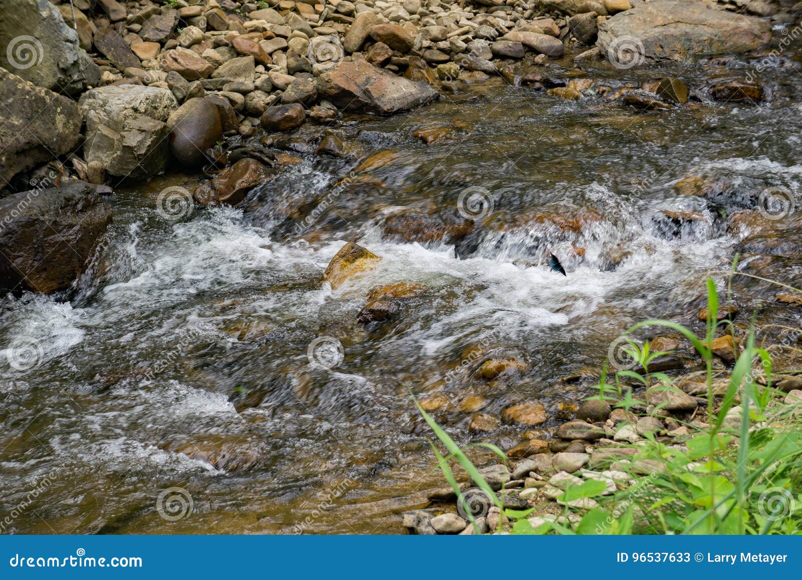 Small Stream and Rocks stock image. Image of blue, cascade - 96537633