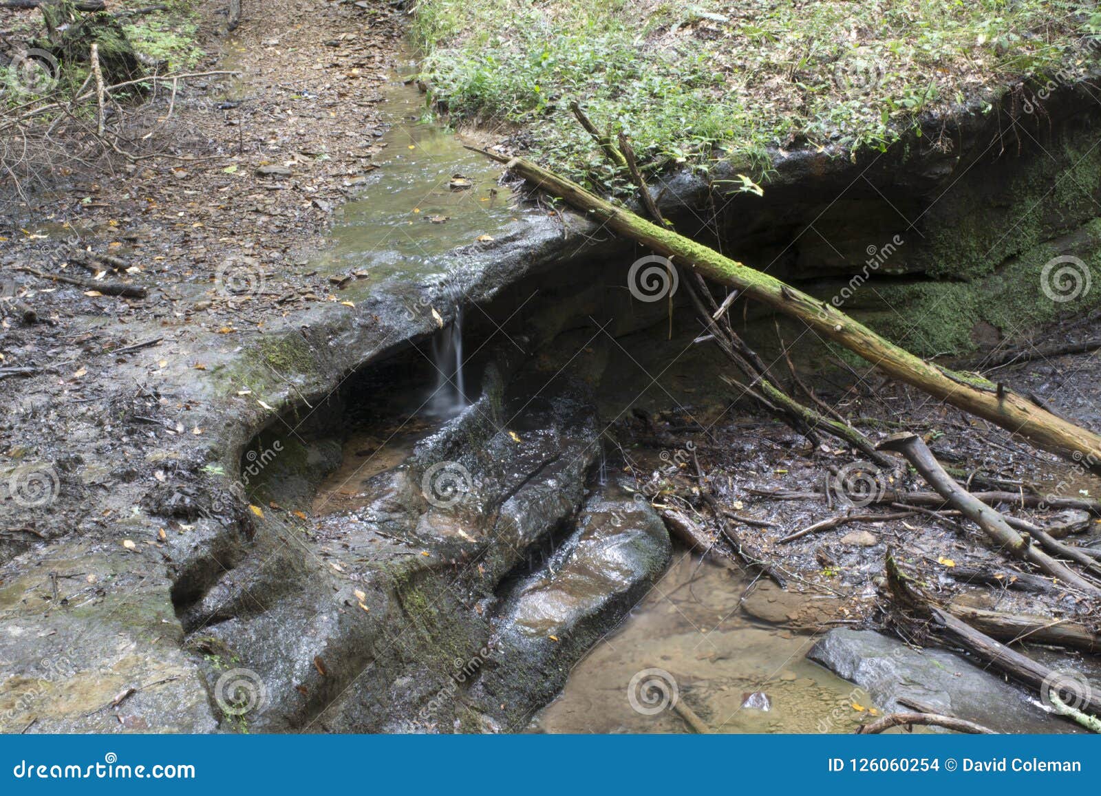 Small Stream Running Down Rocky Surface Stock Photo - Image of surface ...