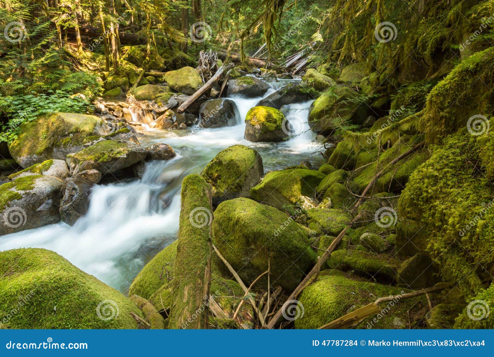 Small Stream Running between Green Moss Covered Rocks Stock Photo ...
