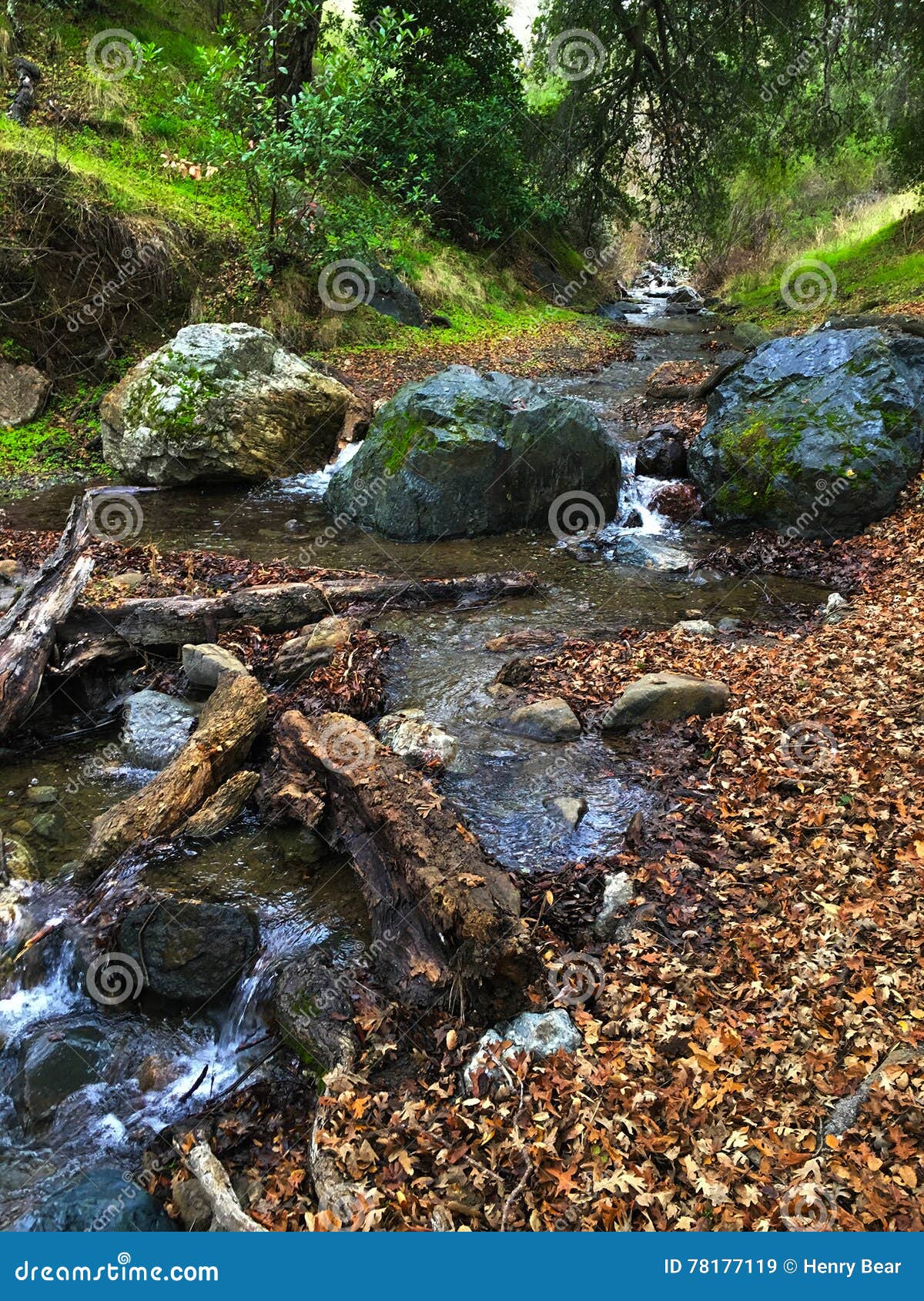 Small stream stock image. Image of small, running, diablo - 78177119