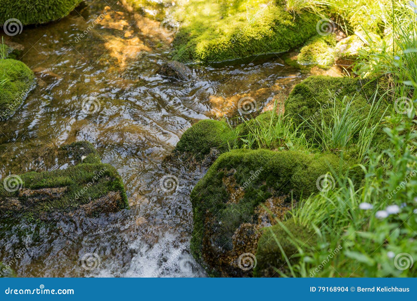 Small Stream Running through the Rocks Stock Photo - Image of splash ...