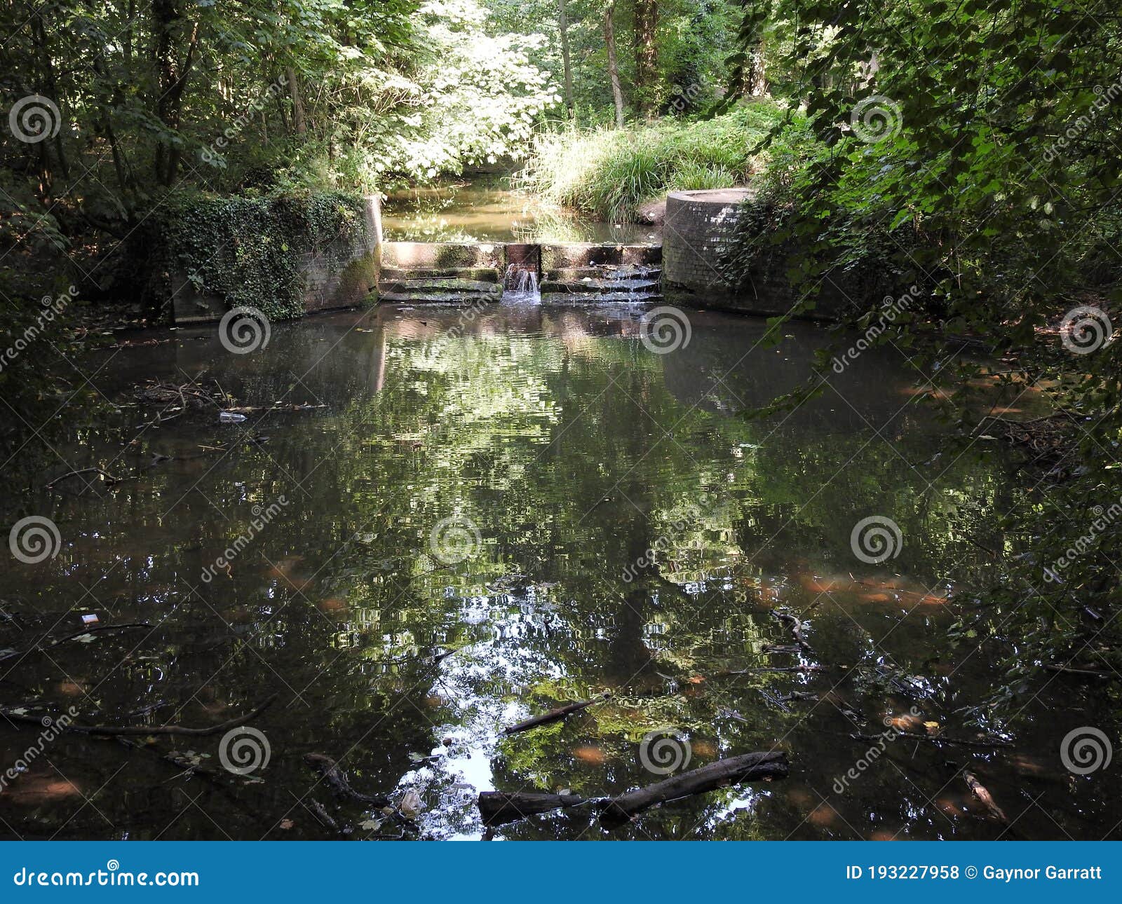 Landscape Stream with Reflections Stock Photo - Image of reflections ...