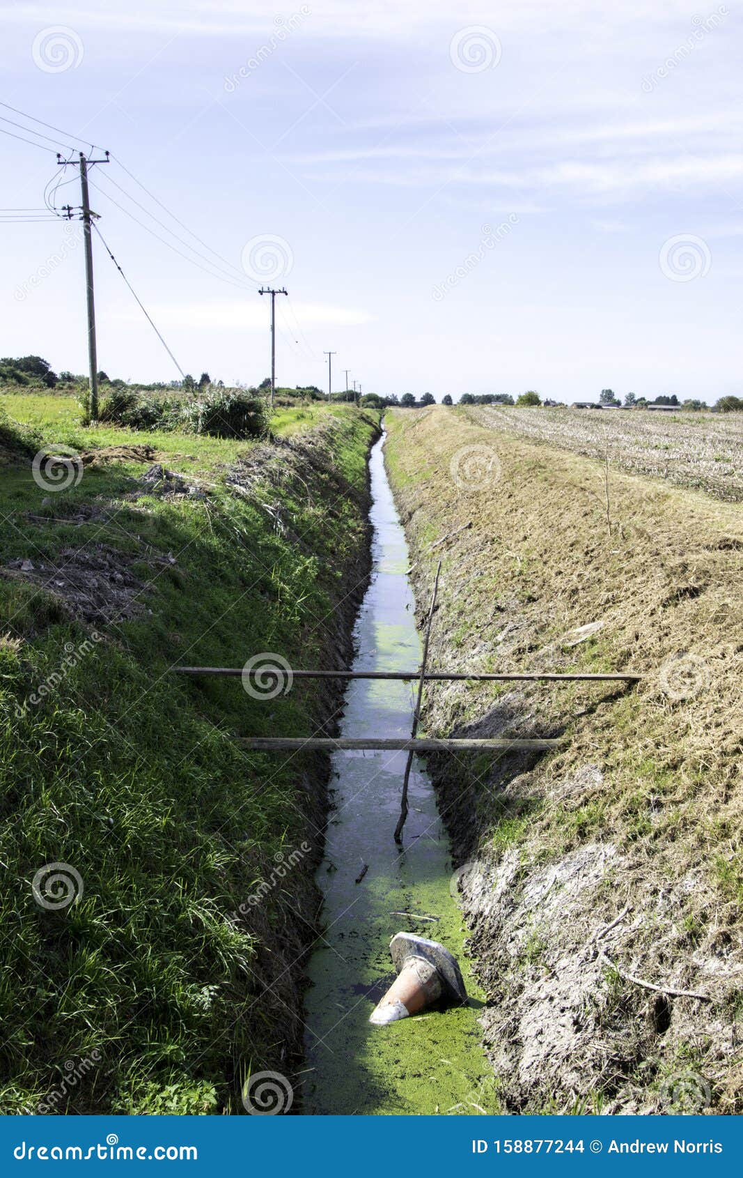 Field Stream stock photo. Image of east, kingdom, country - 158877244