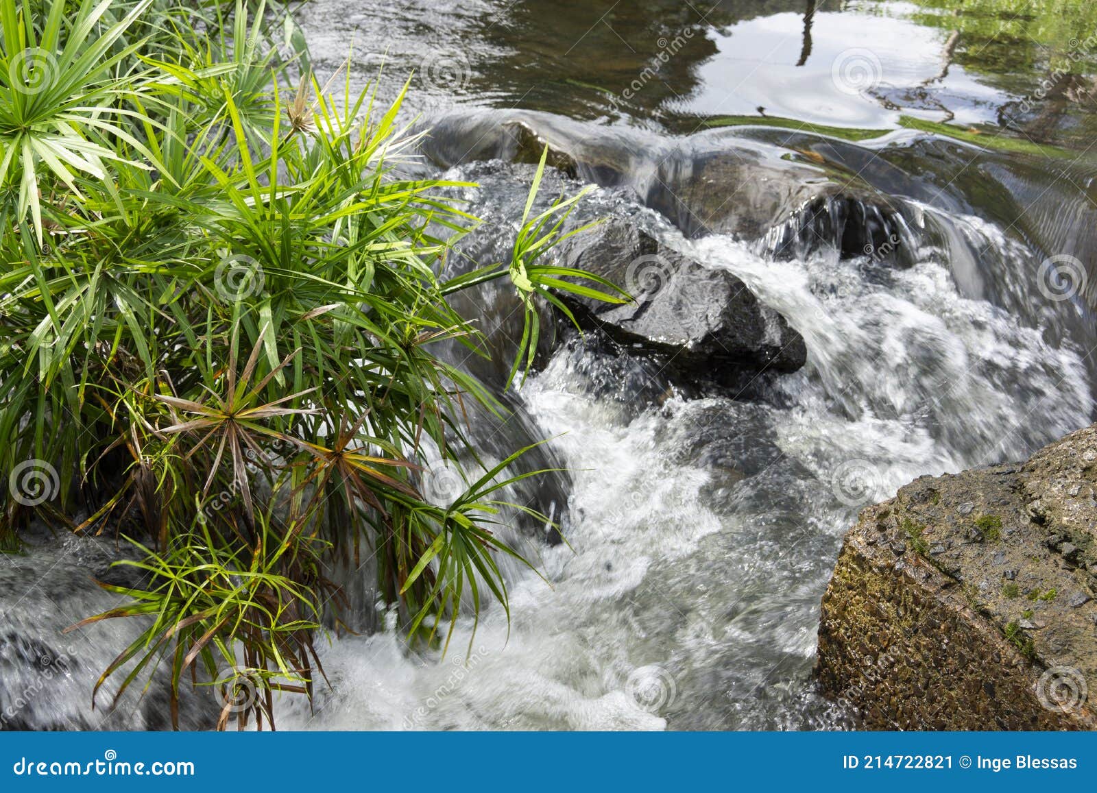 Small Stream Rushing Under a Bridge. Stock Image - Image of water ...