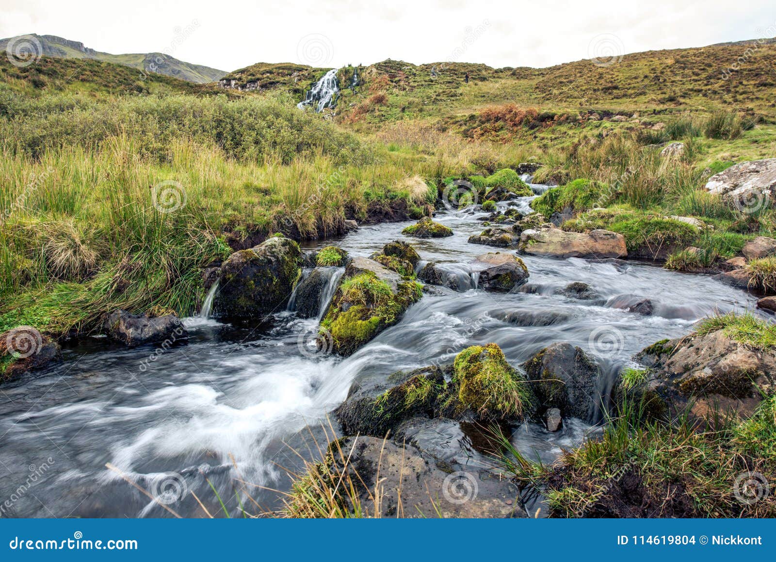 A Small Stream in the Scottish Highlands Stock Photo - Image of water ...