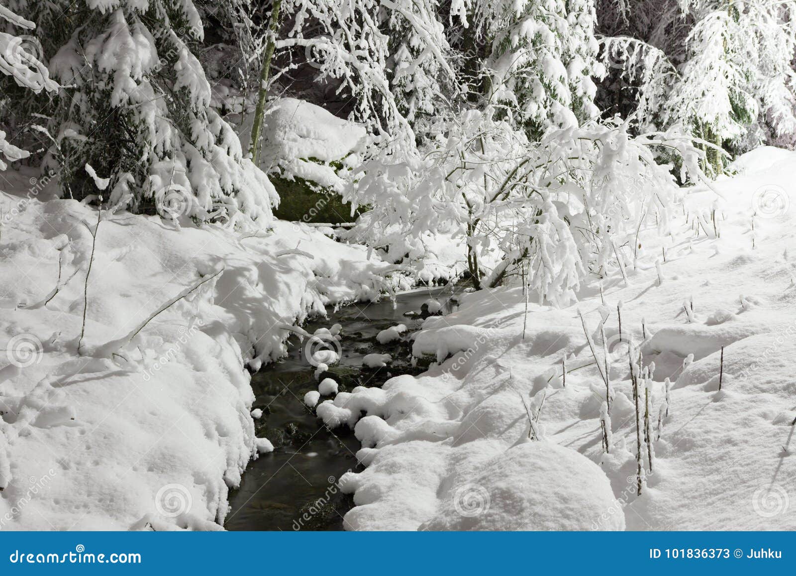 Small Stream in Snow Forest Stock Image - Image of snow, white: 101836373