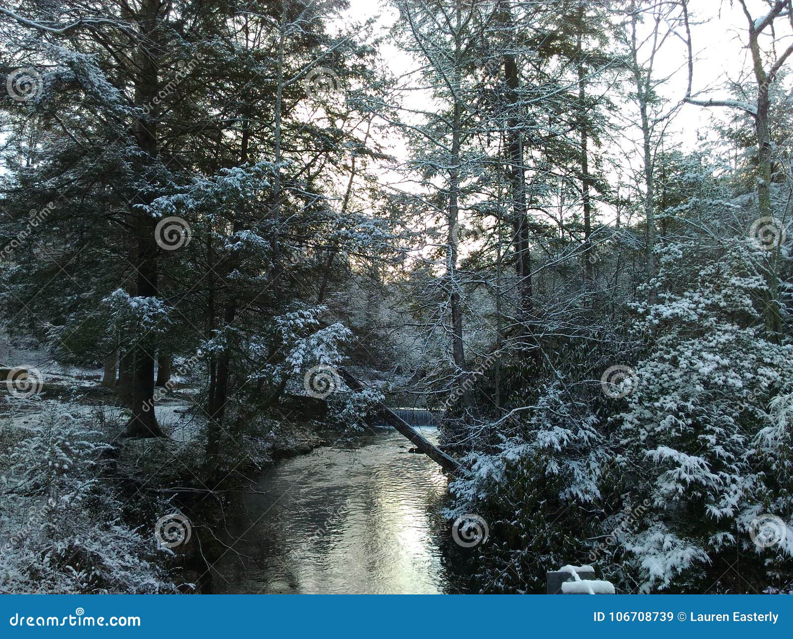 Winter Stream stock image. Image of water, winter, surrounded - 106708739