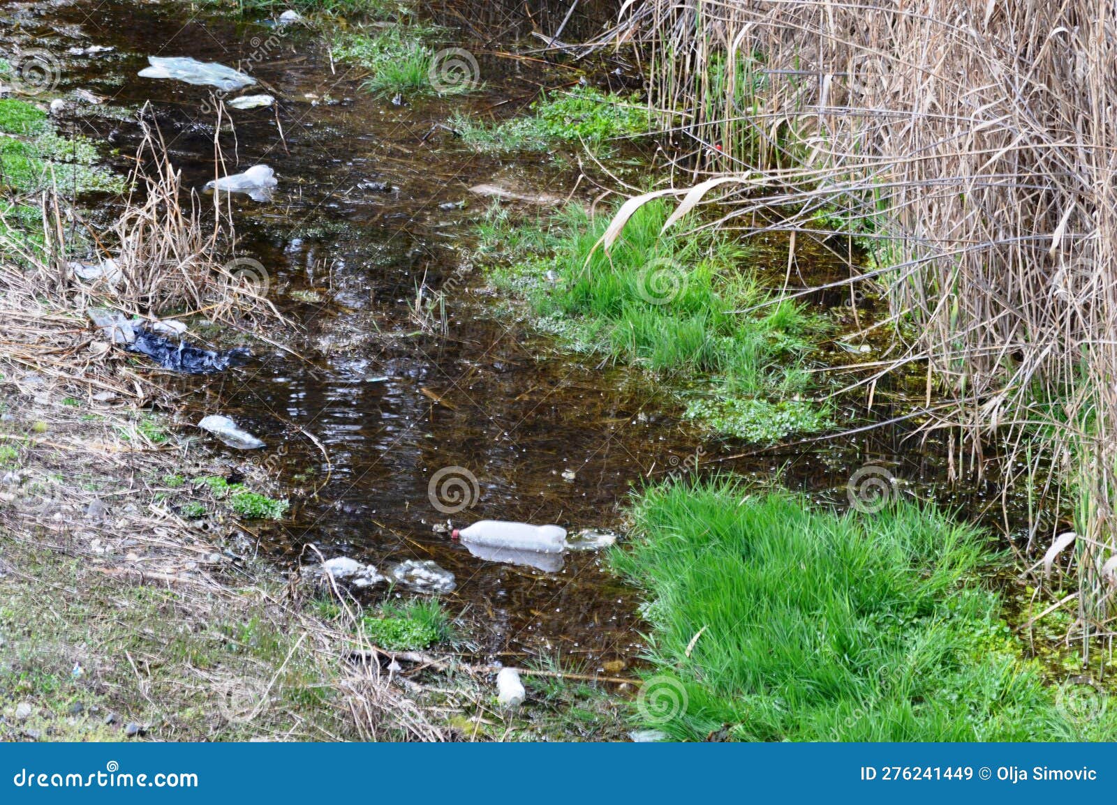 Small Stream and Trash in the Water Stock Image - Image of watercourse ...