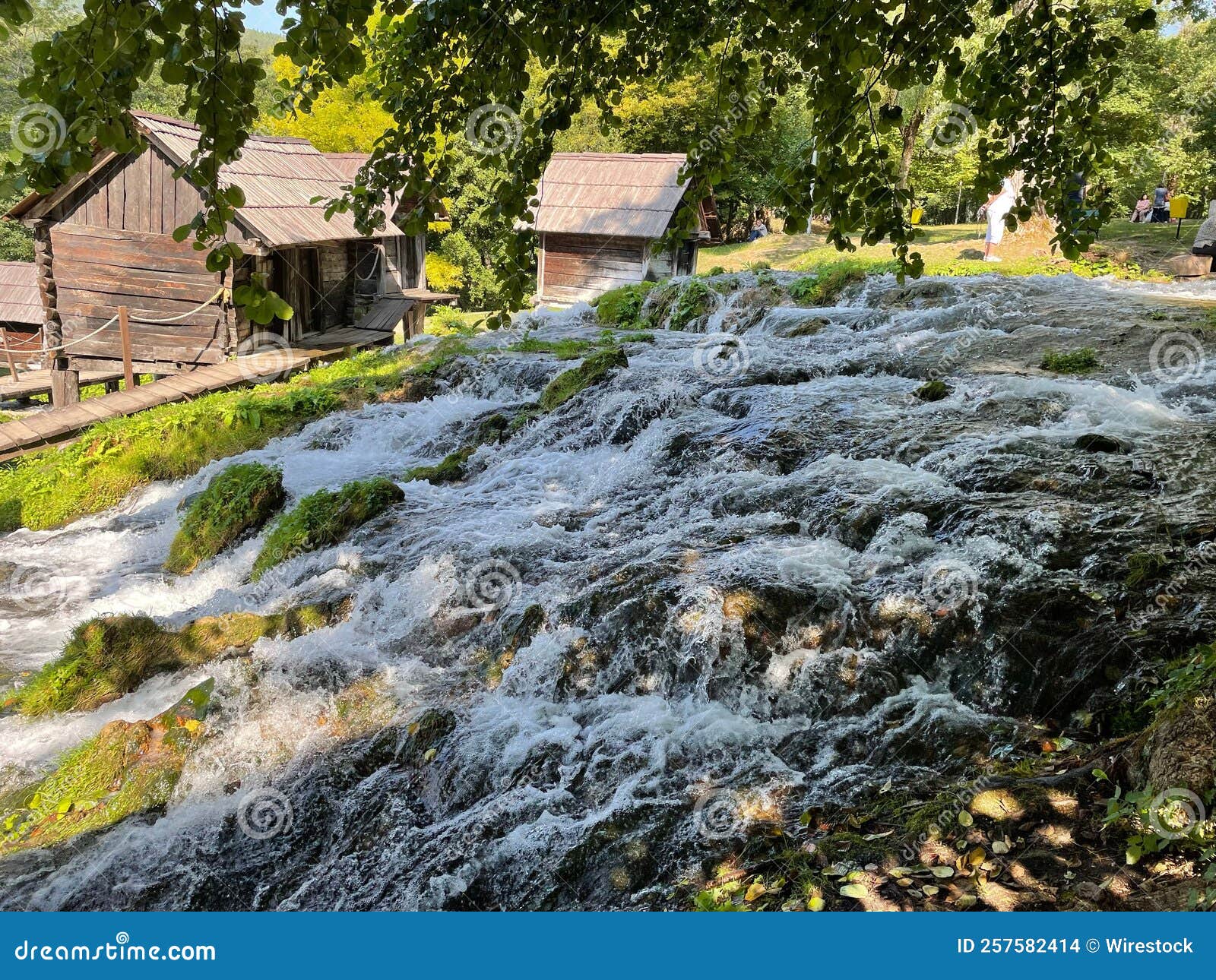 Small Stream in the Village Stock Photo - Image of water, nature: 257582414