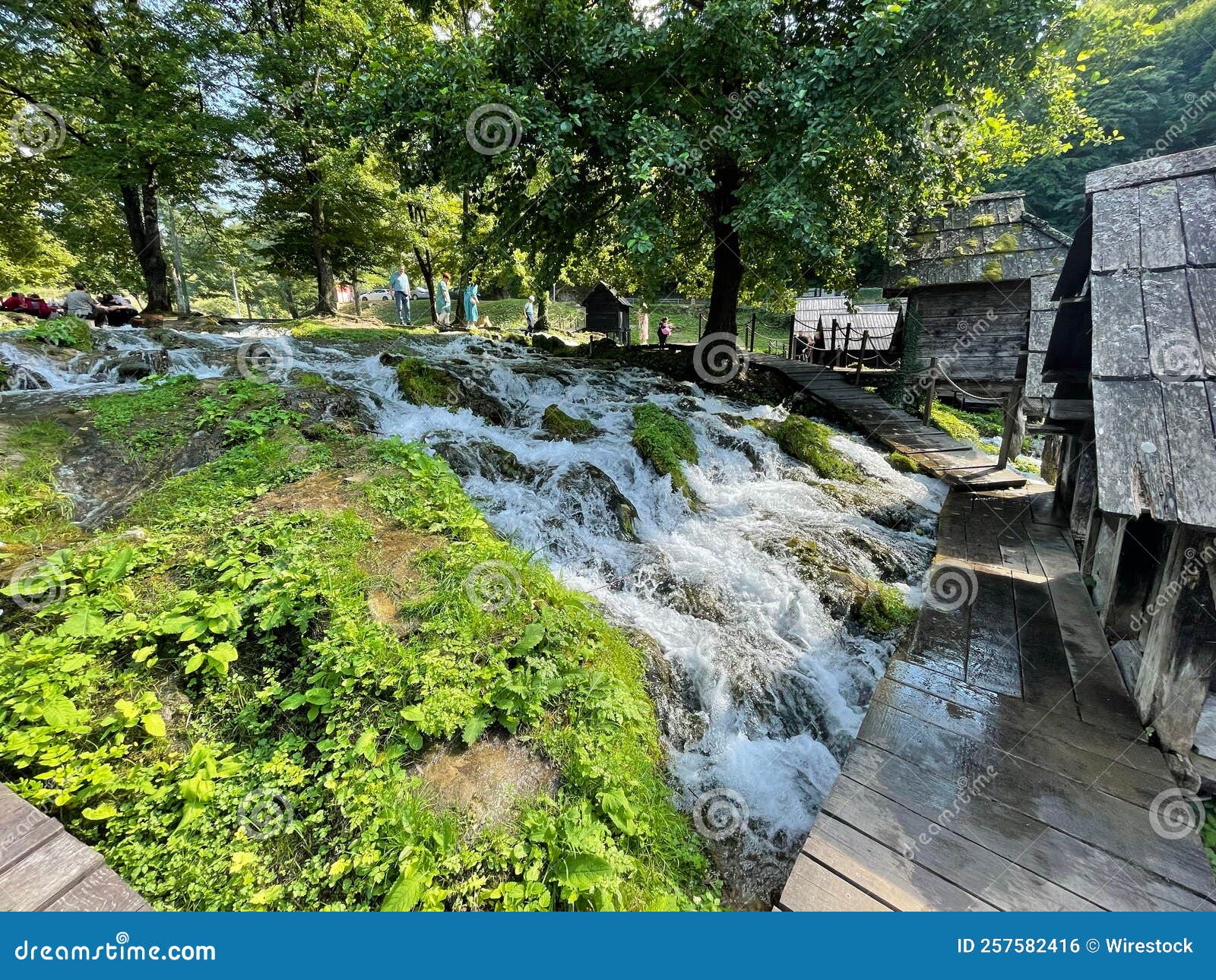 Small Stream in the Village Stock Photo - Image of nature, creek: 257582416