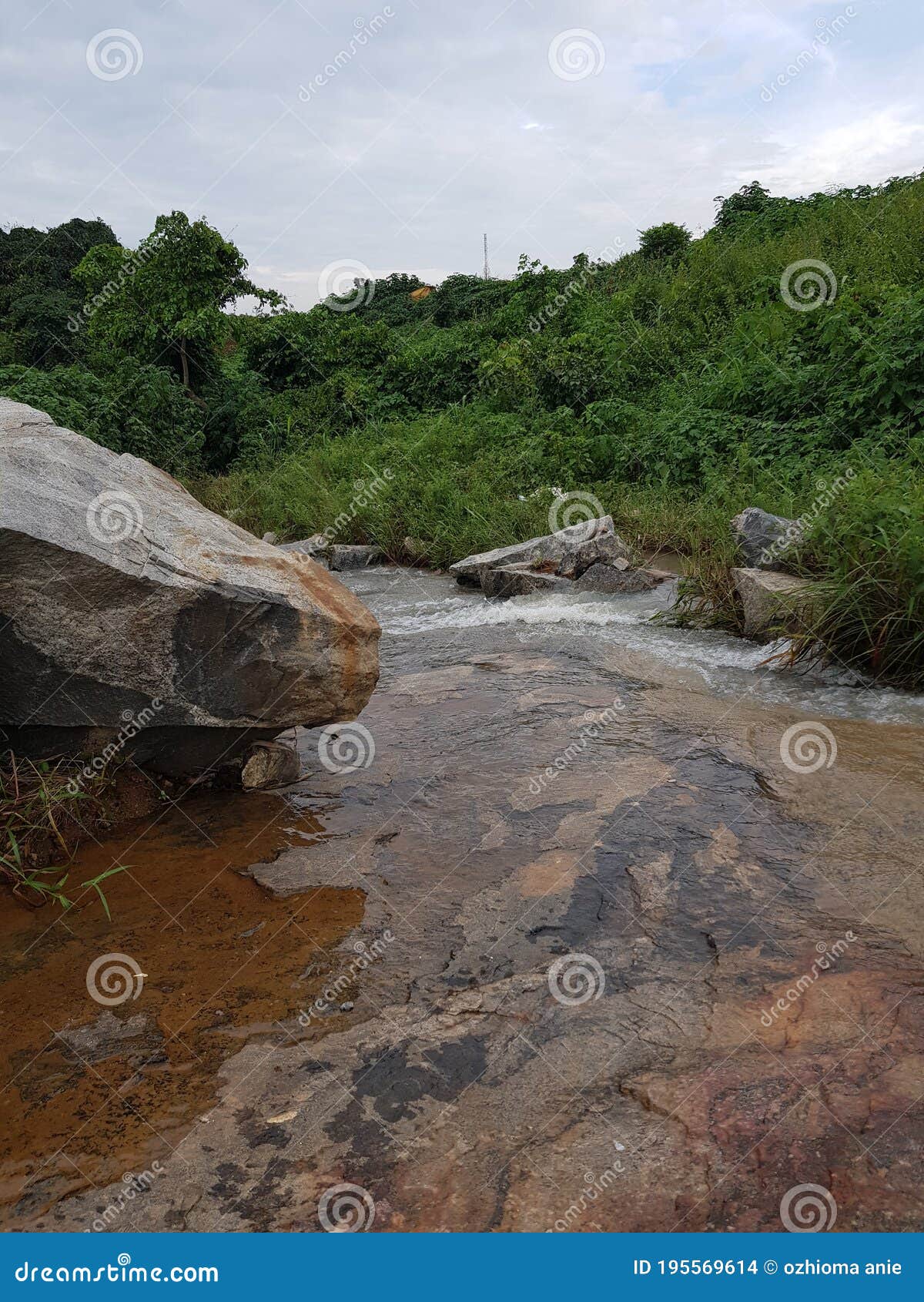Small stream of water stock photo. Image of autumn, wood - 195569614
