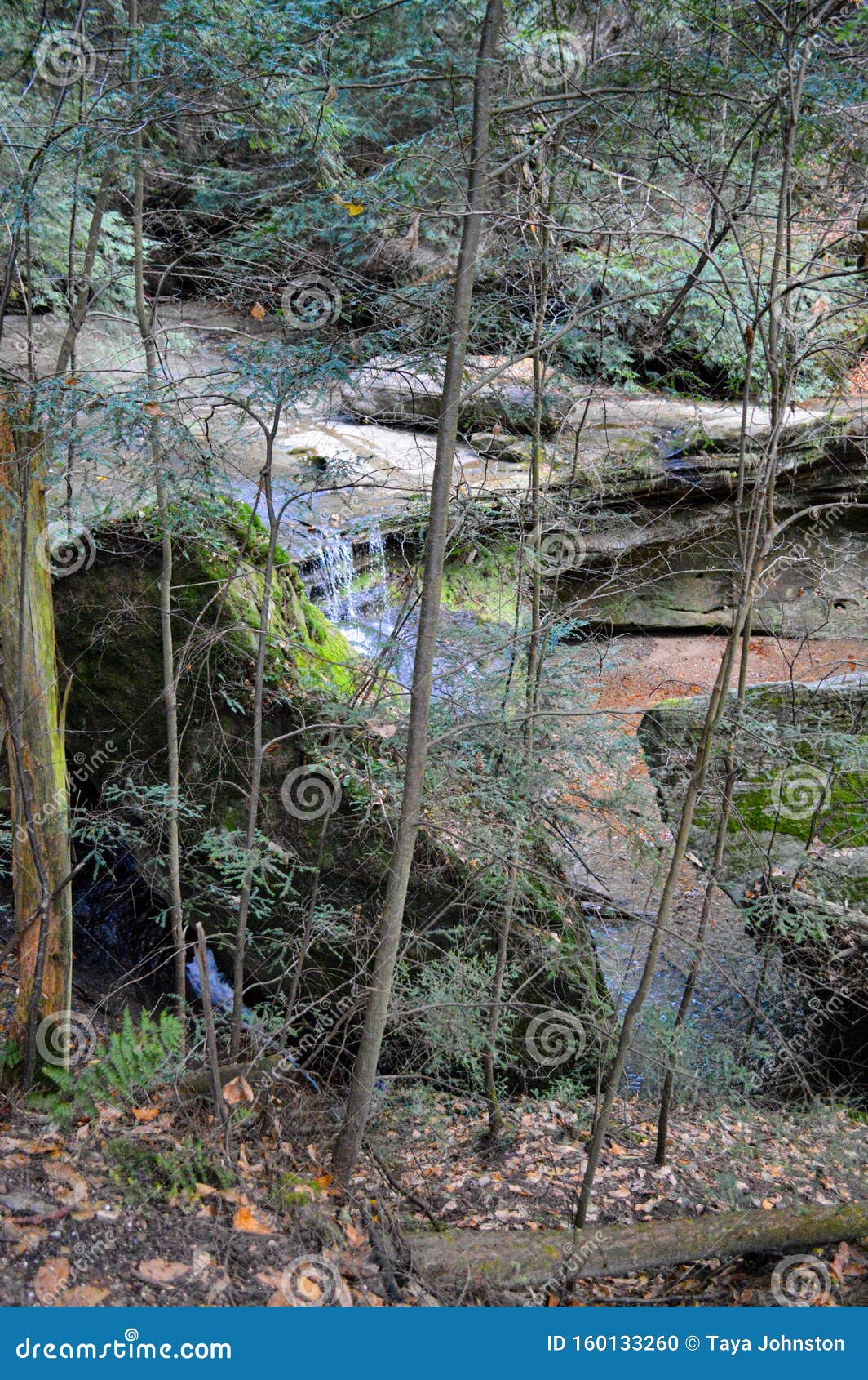 Small Stream of Water Flowing through a Forest Stock Photo - Image of ...