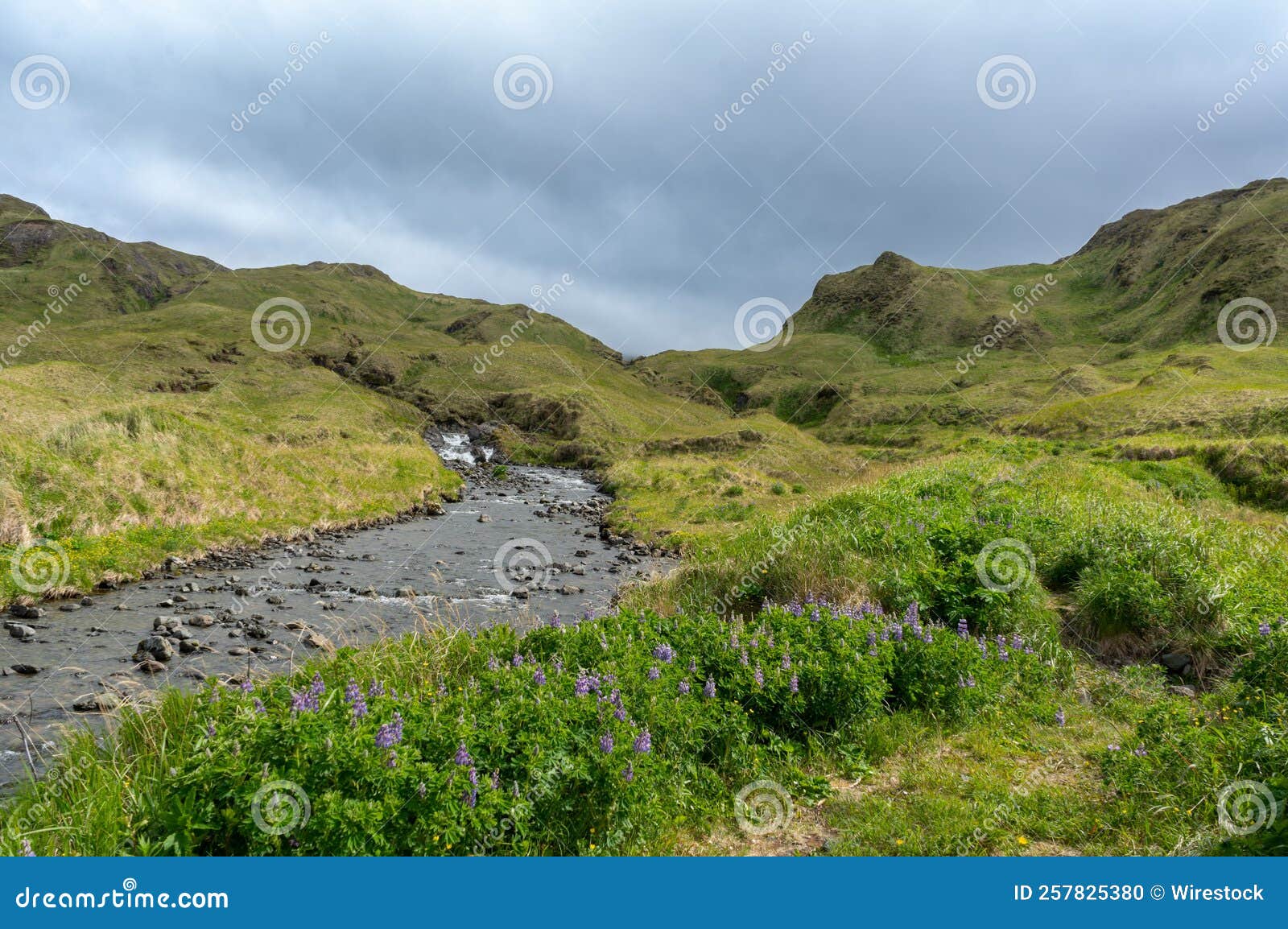 Small Stream of Water Going through a Valley Surrounded by Mountains ...