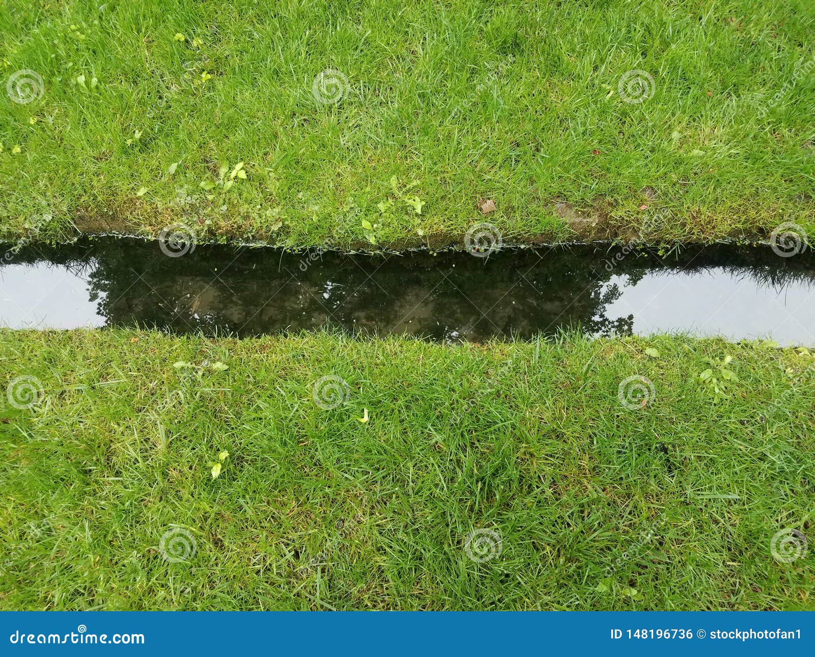 Small Stream of Water and Green Grass Stock Photo - Image of reflection ...