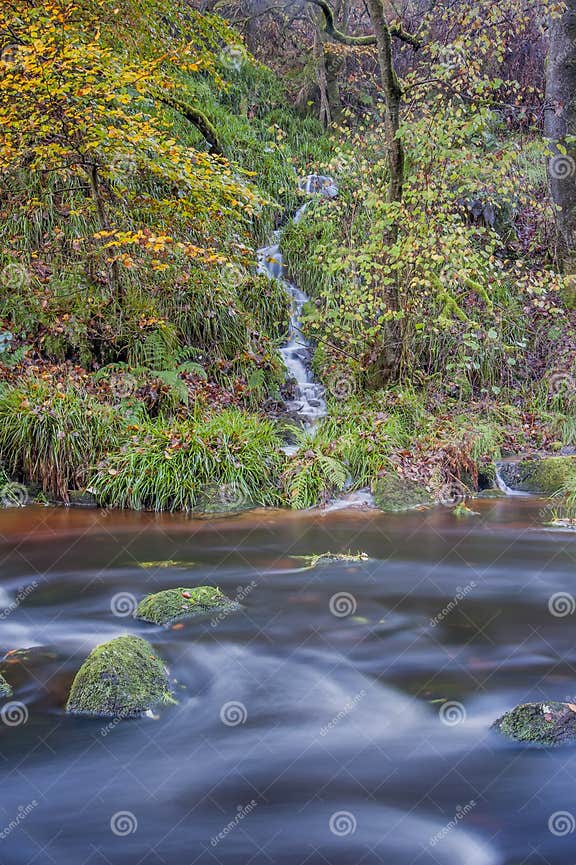 Small Stream of Water Running into a Larger River Stock Image - Image ...