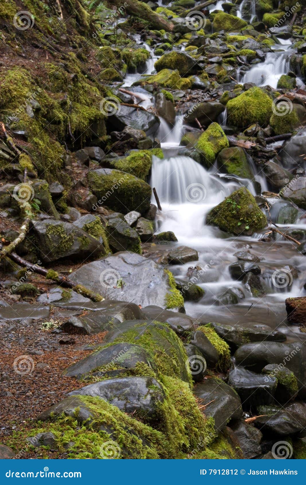 Small Stream with Waterfalls Stock Photo - Image of moss, tony: 7912812