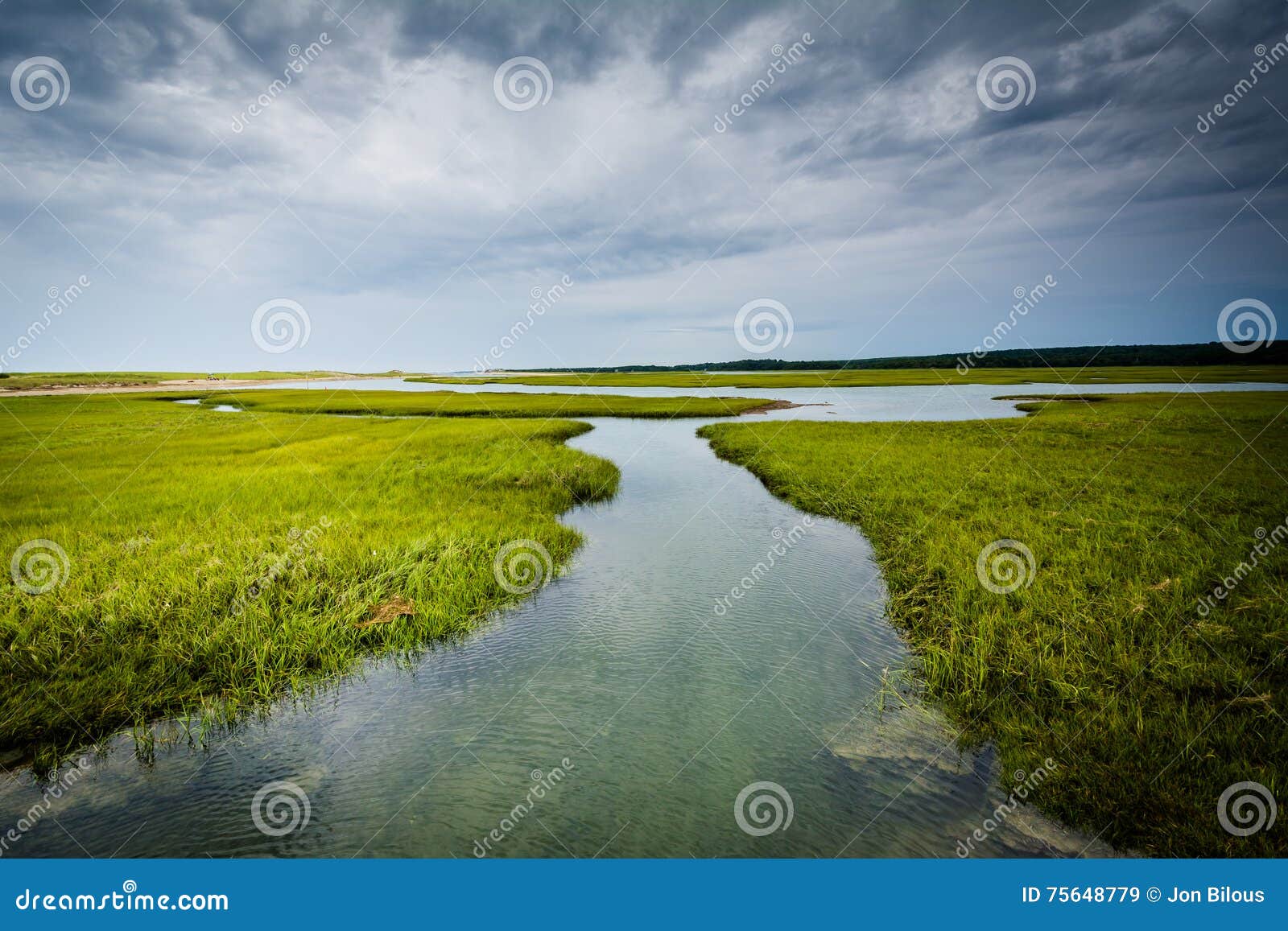 Small Stream in a Wetland Seen from the Sandwich Boardwalk, in S Stock ...