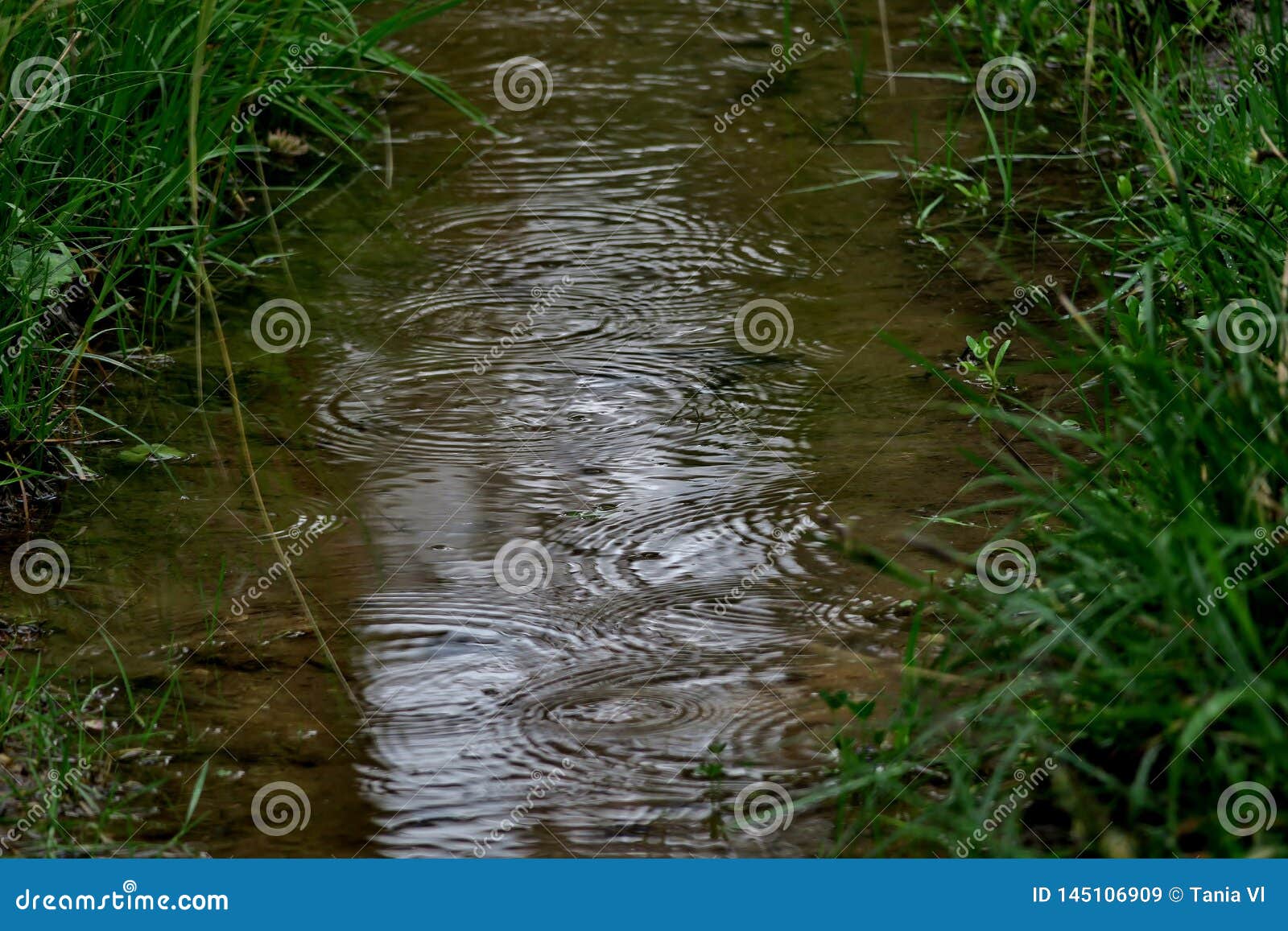 A Small Stream on Which Raindrops Fall Close Up Stock Image - Image of ...