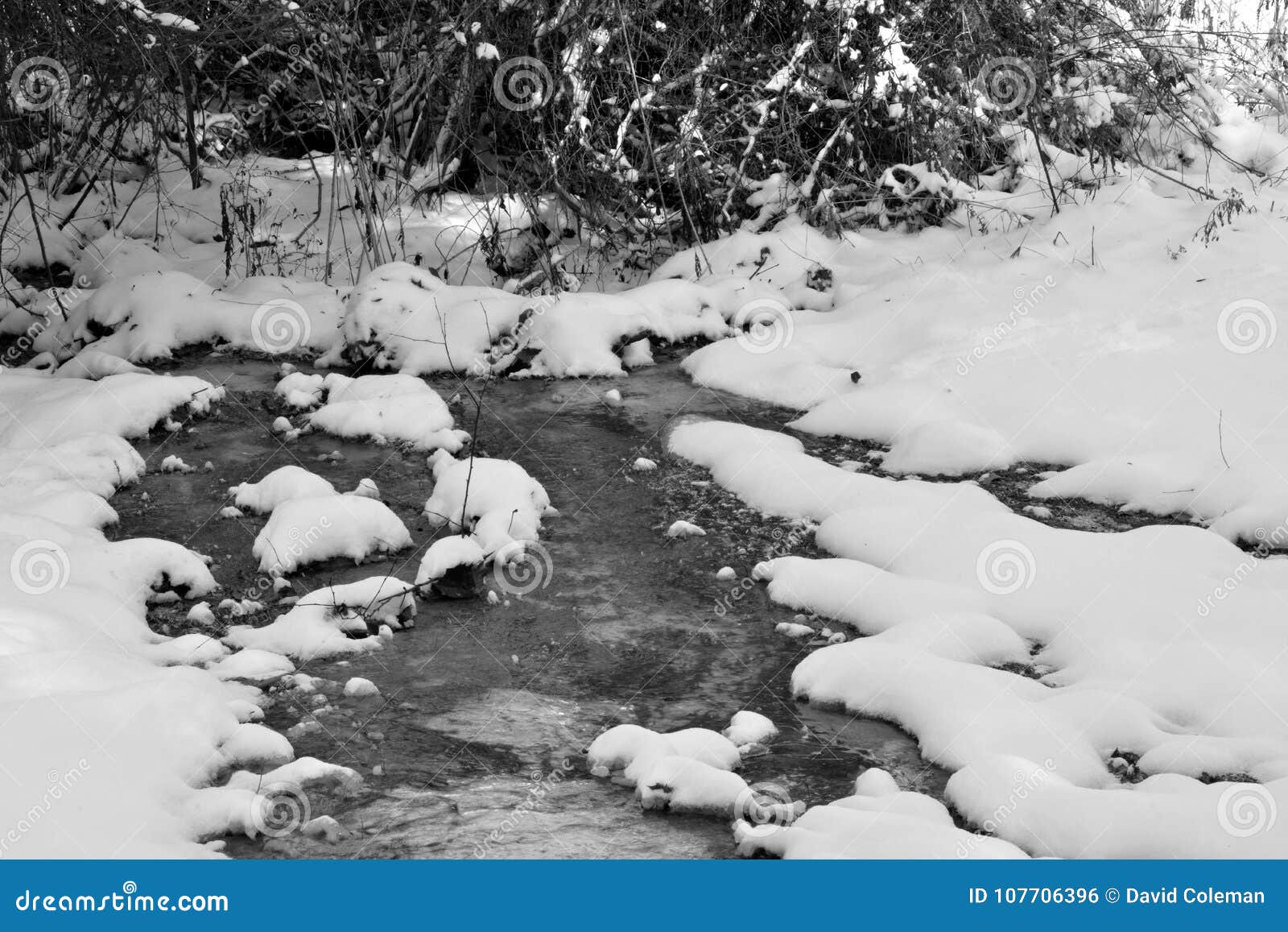 Small Stream in Winter Snow Stock Photo - Image of flowing, white ...
