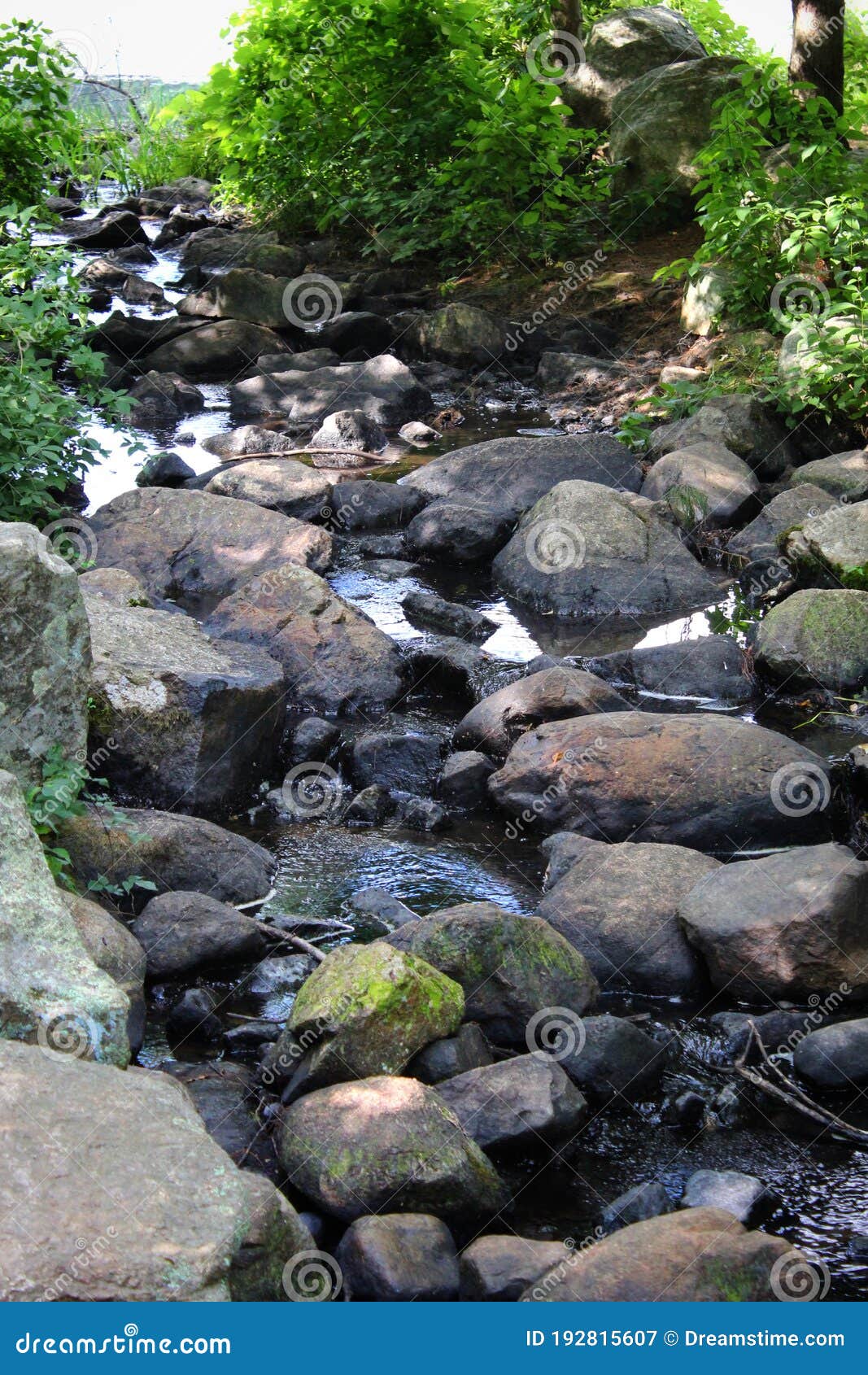 Stream stock image. Image of water, small, rocks, woods - 192815607