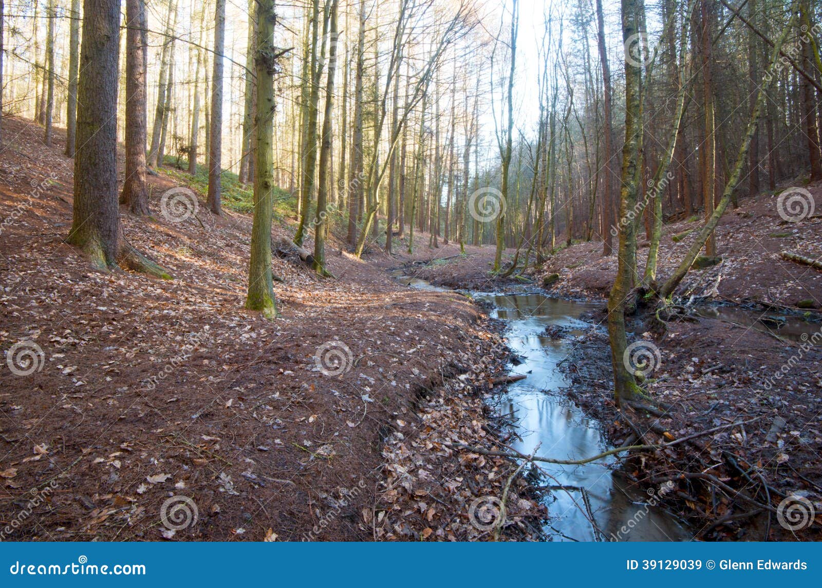 Small Stream through the Woods Stock Image - Image of beck, rural: 39129039