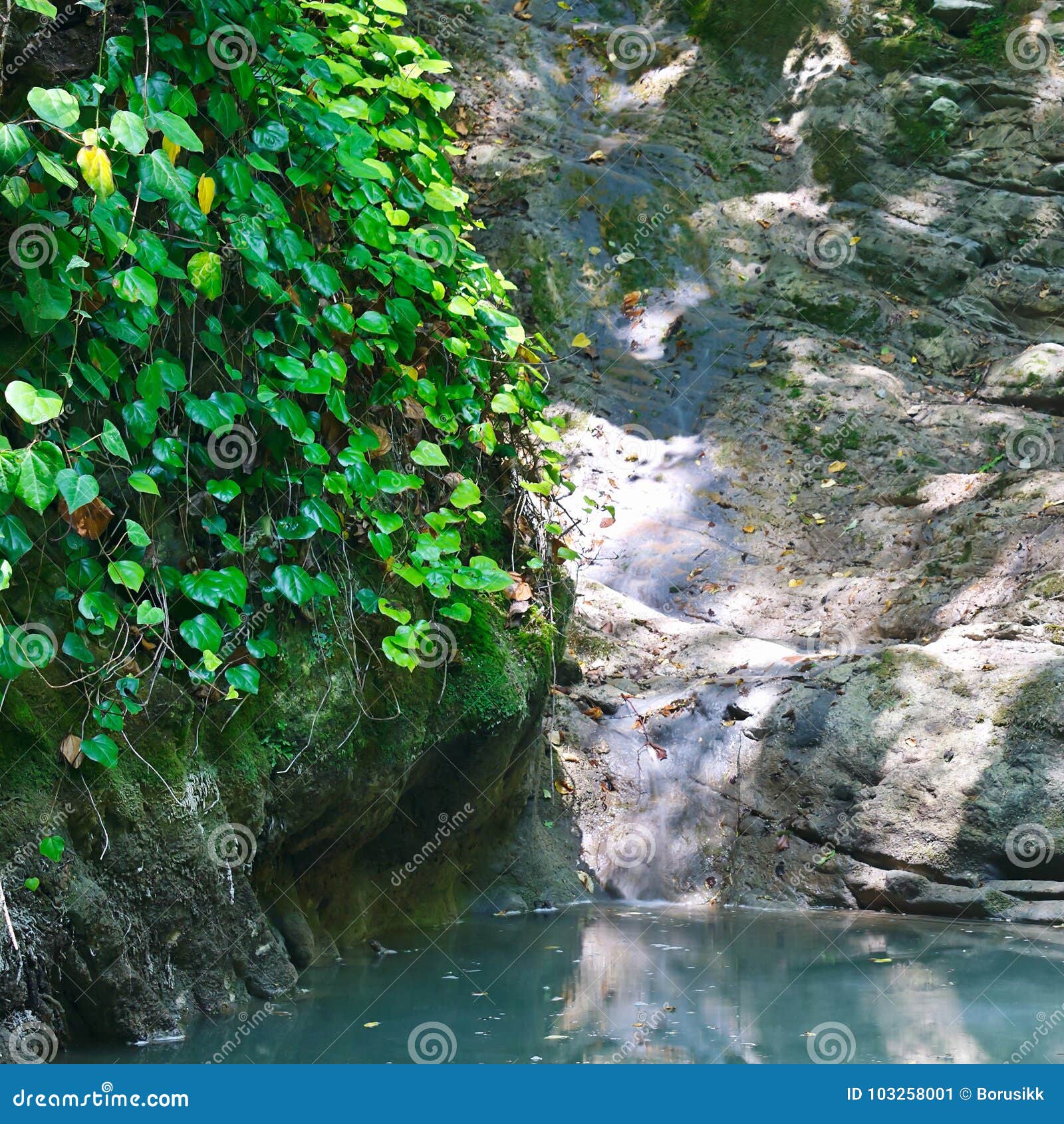 Small Streamlet Flowing Into Lake With Stagnant Water Among The Jungle ...