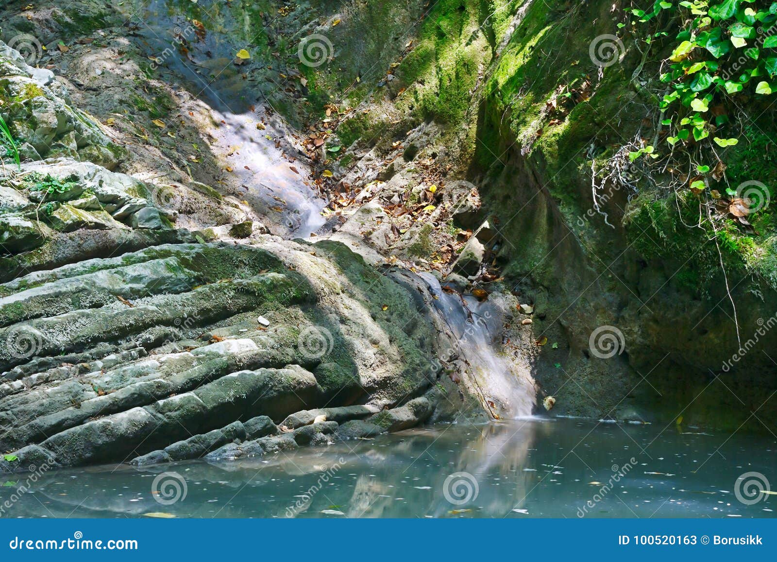 Small Streamlet Feeding Lake With Stagnant Water Among The Jungle ...