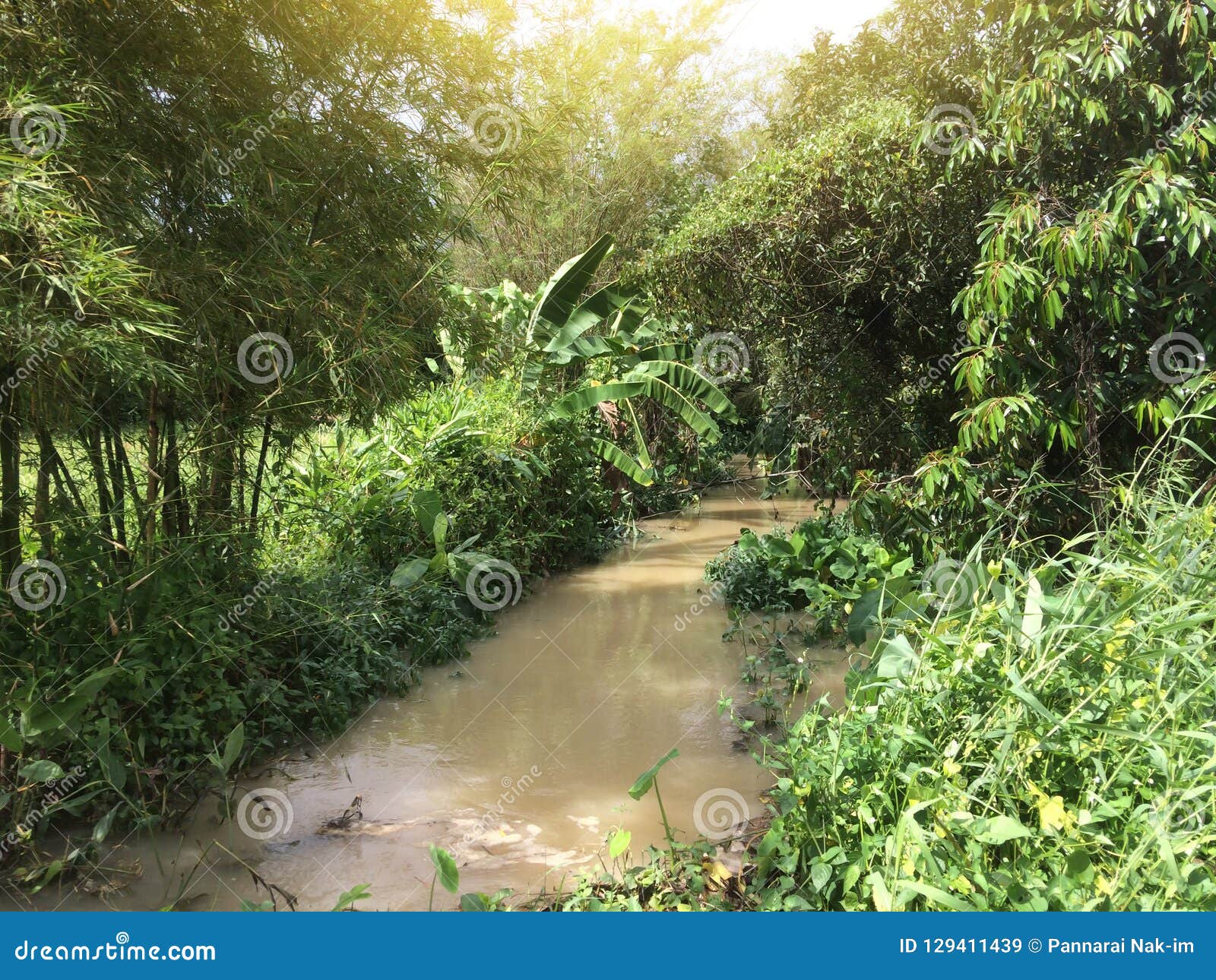 Small Streams in the Countryside. Stock Image - Image of outdoor ...