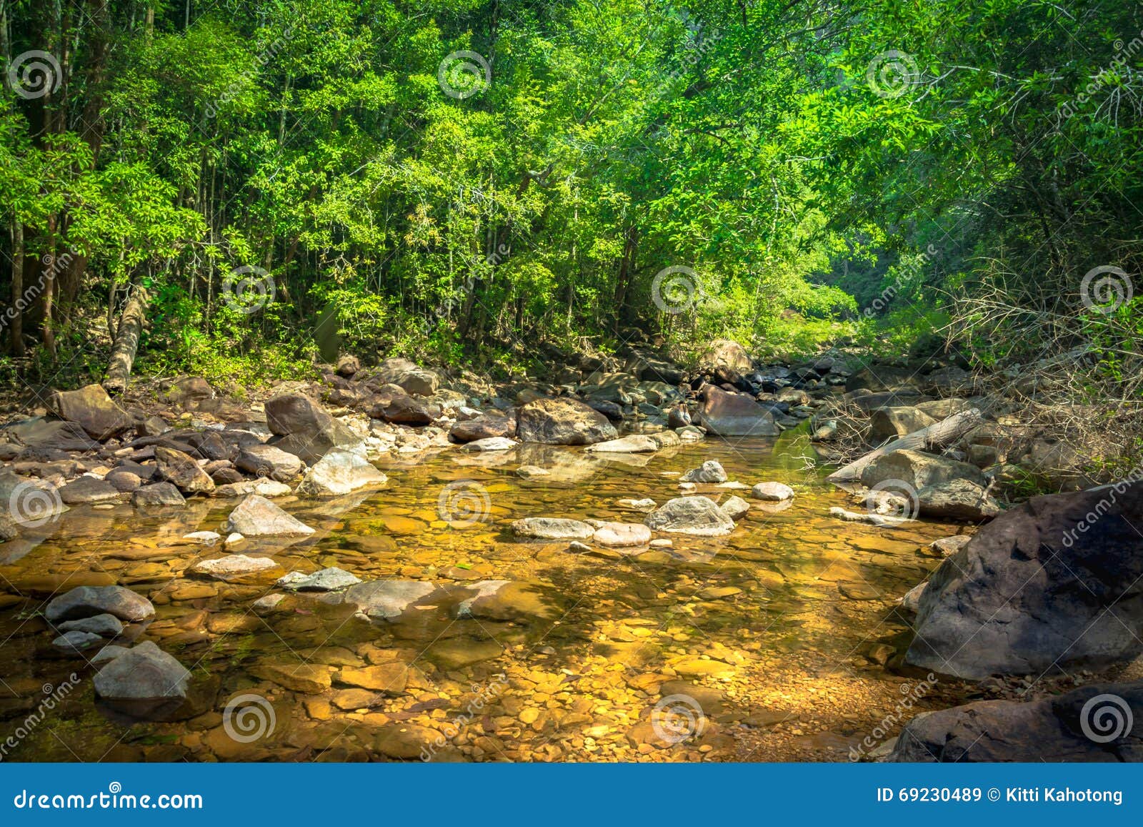 Small Streams Flow Through Abundant Tropical Forests In Forest Of ...