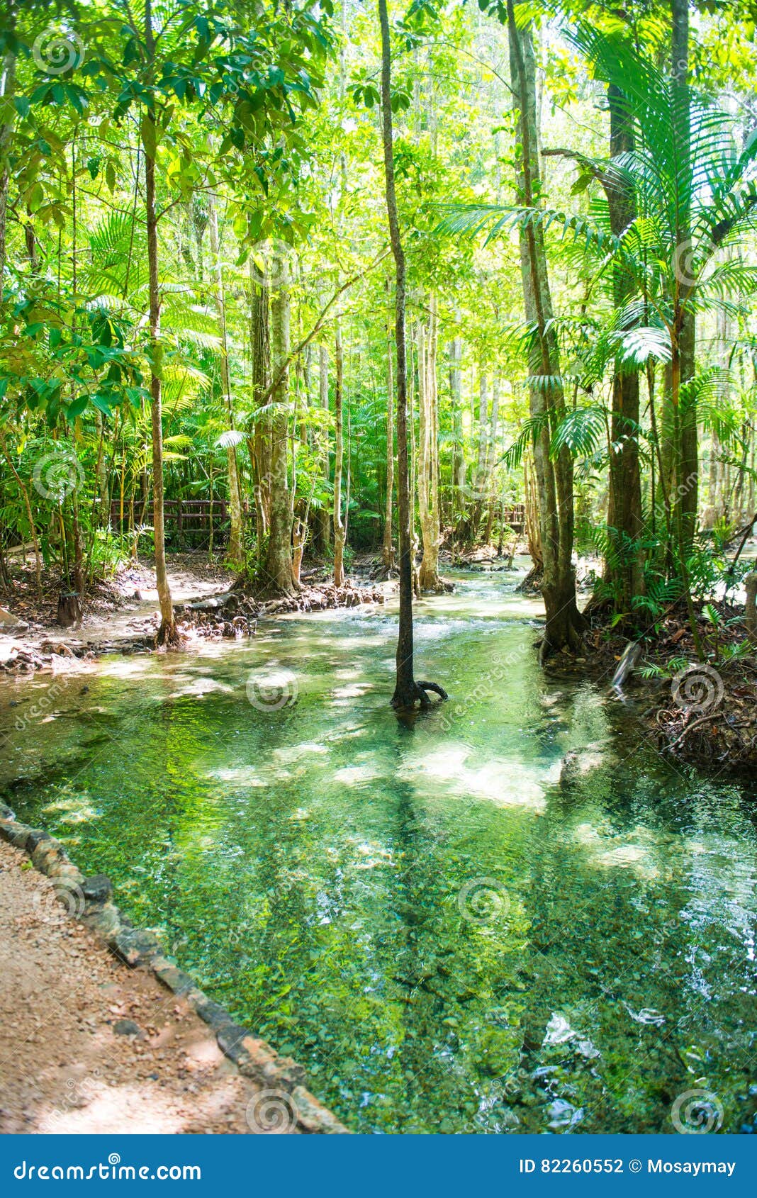 Small Streams Flow Through Abundant Tropical Forests In Forest Of ...