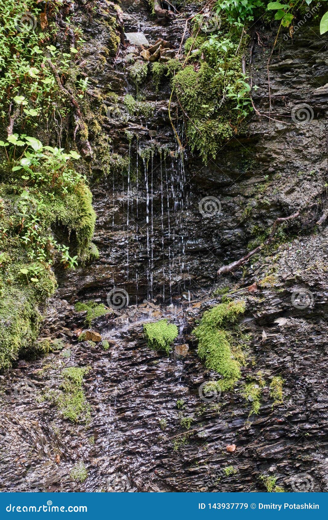 Small Streams of Water Flow Down the Moss-covered Slope Stock Image ...