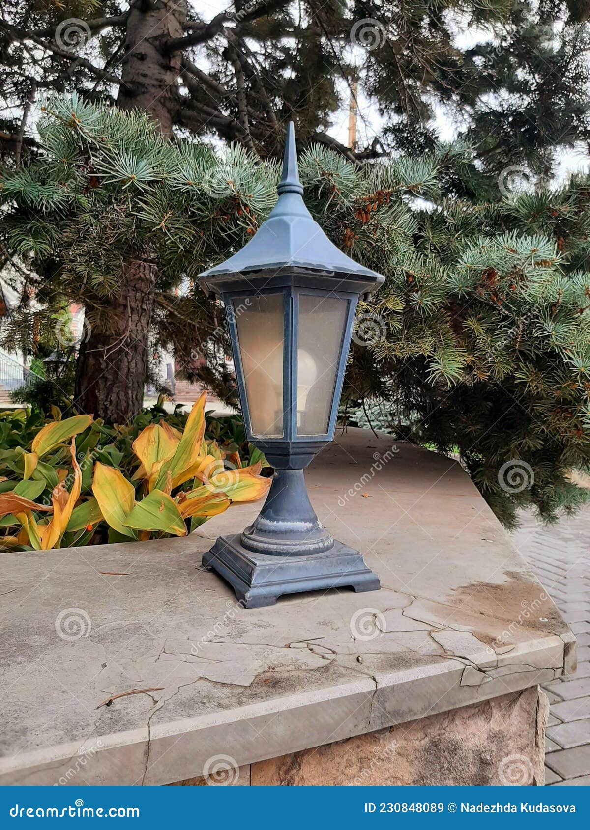 Small Street Light in the Garden Stock Image - Image of lighting, tree ...