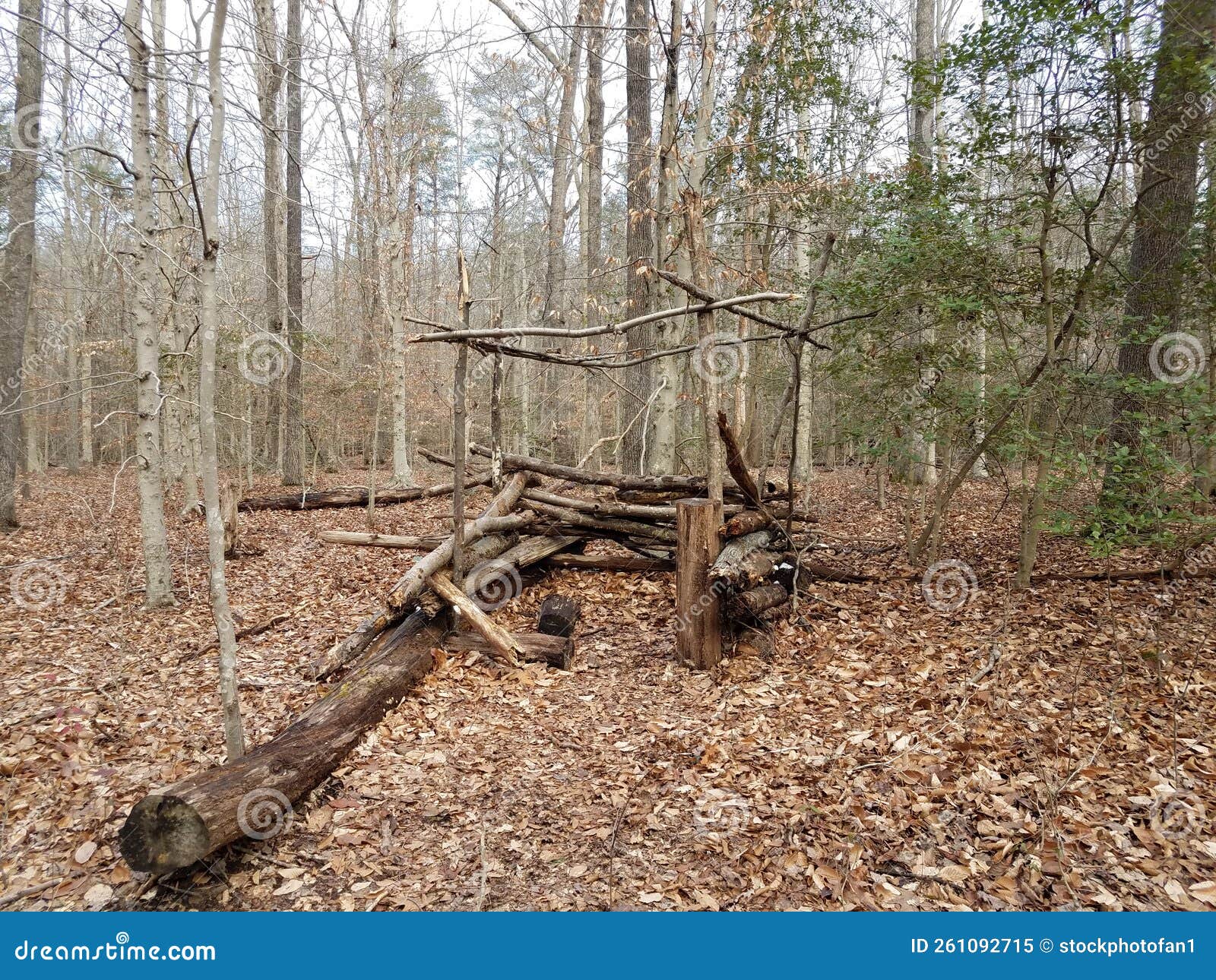 Small Structure or Fort Made Out of Sticks in the Forest Stock Image ...