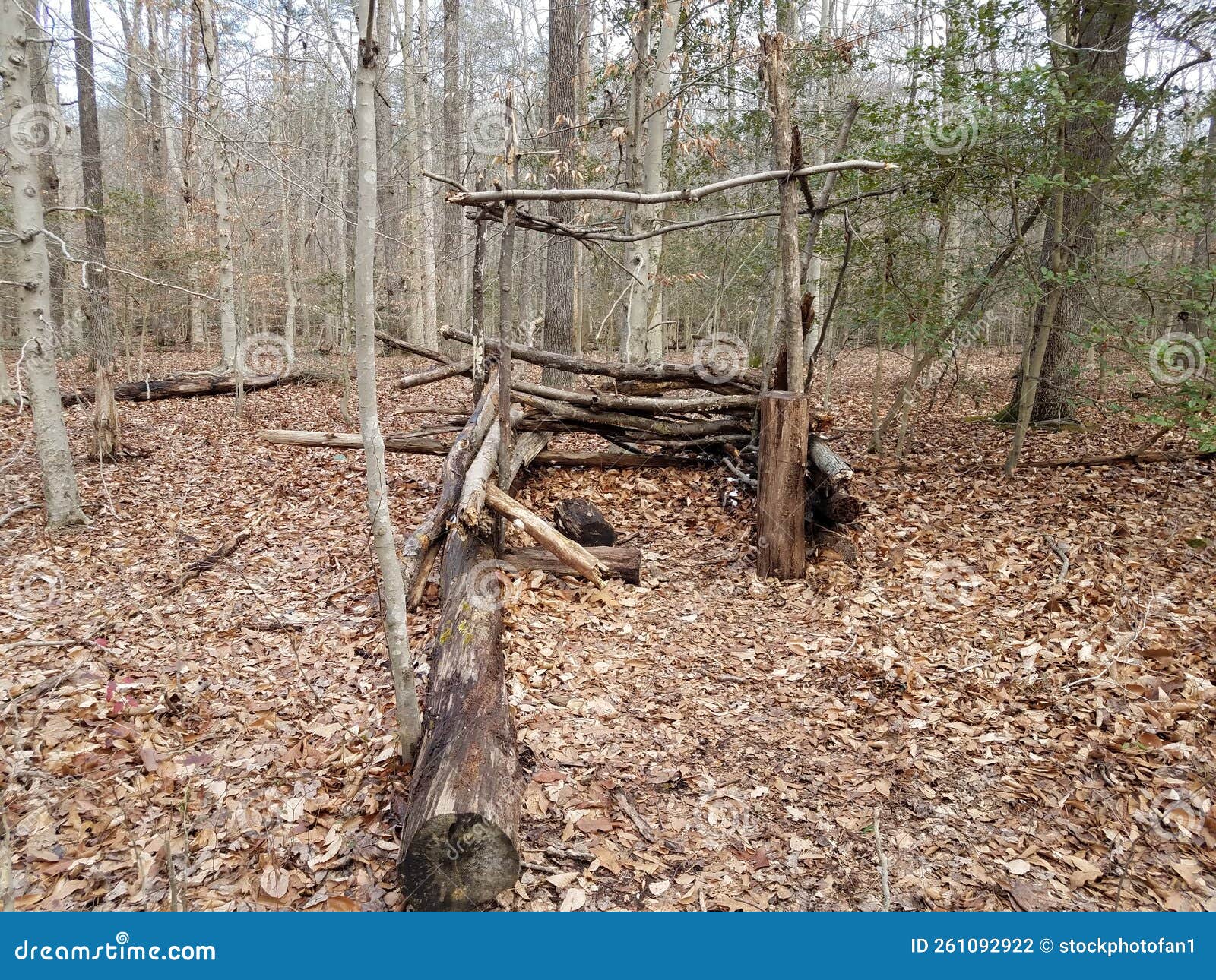 Small Structure or Fort Made Out of Sticks in the Forest Stock Photo ...
