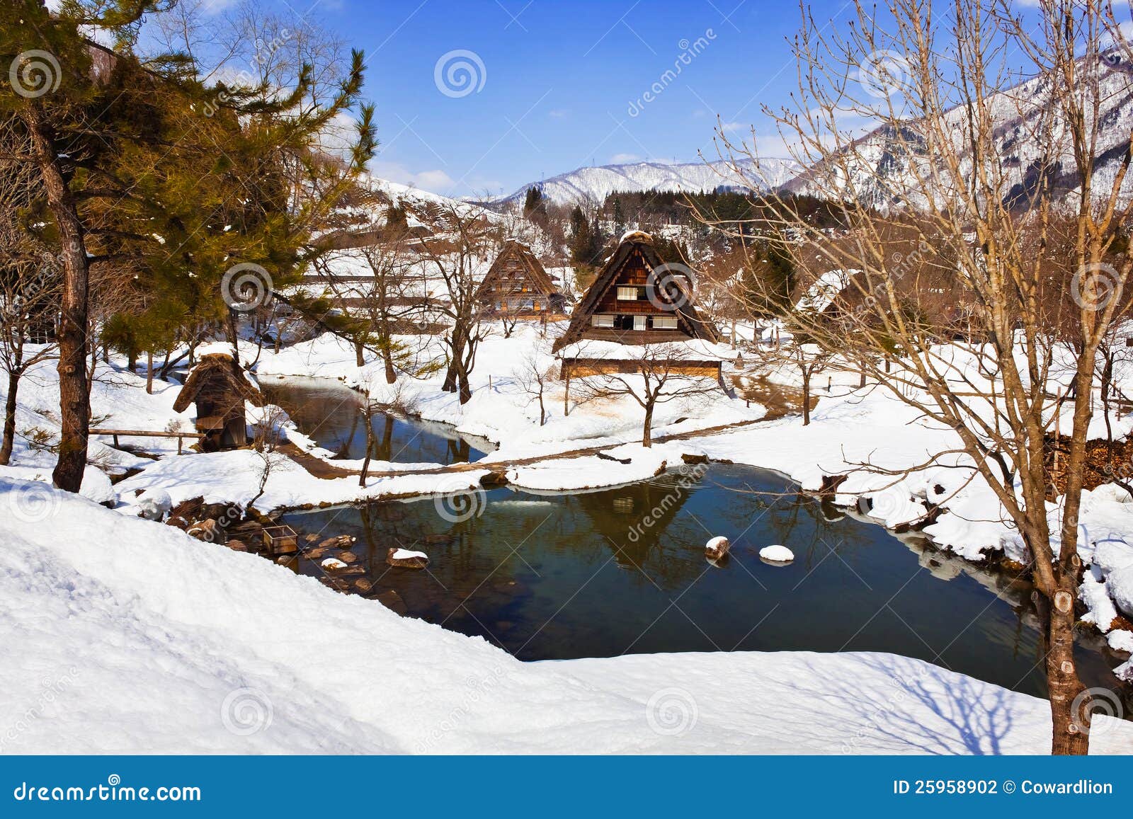 Small Swamp stock photo. Image of countryside, forest - 25958902
