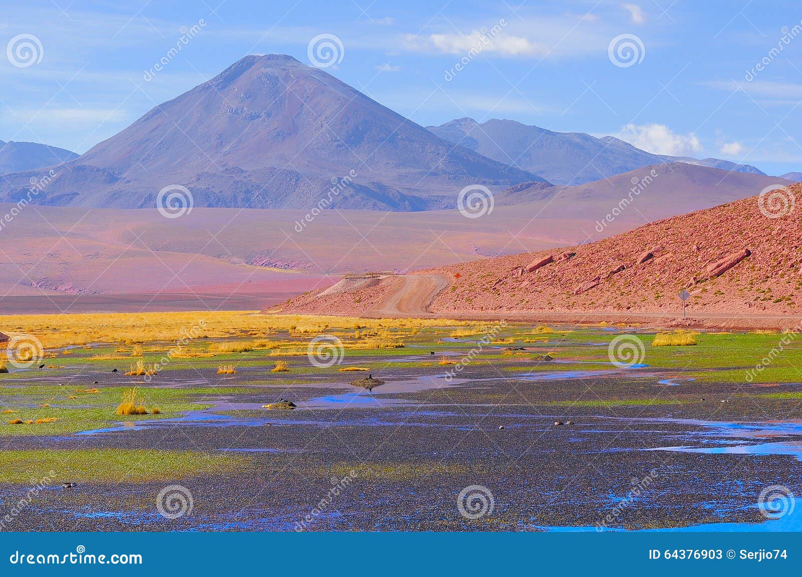 Small Swamp in Atacama Desert. Stock Image - Image of andes, amazing ...