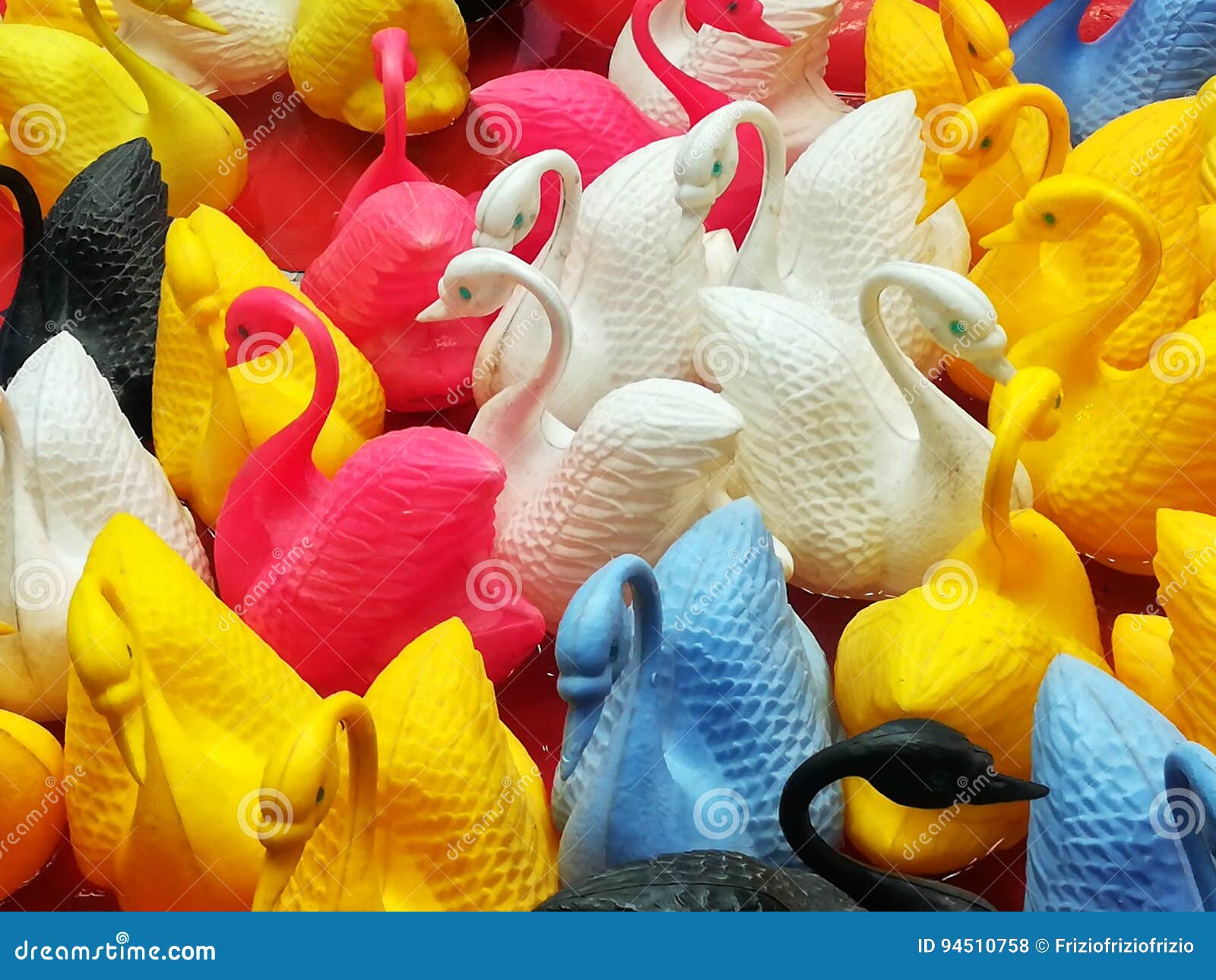 Small Swans Floating at the Luna Park Stock Photo - Image of nation ...