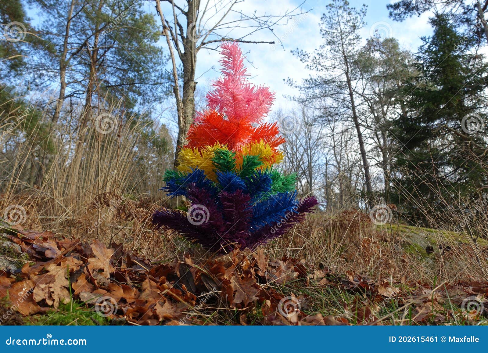 A Symbolic Christmas Tree with Pride Colors Stock Image - Image of ...