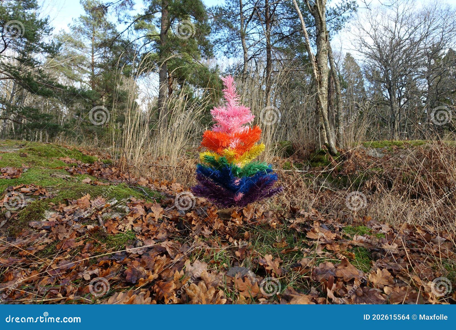 A Symbolic Christmas Tree with Pride Colors Stock Photo - Image of ...