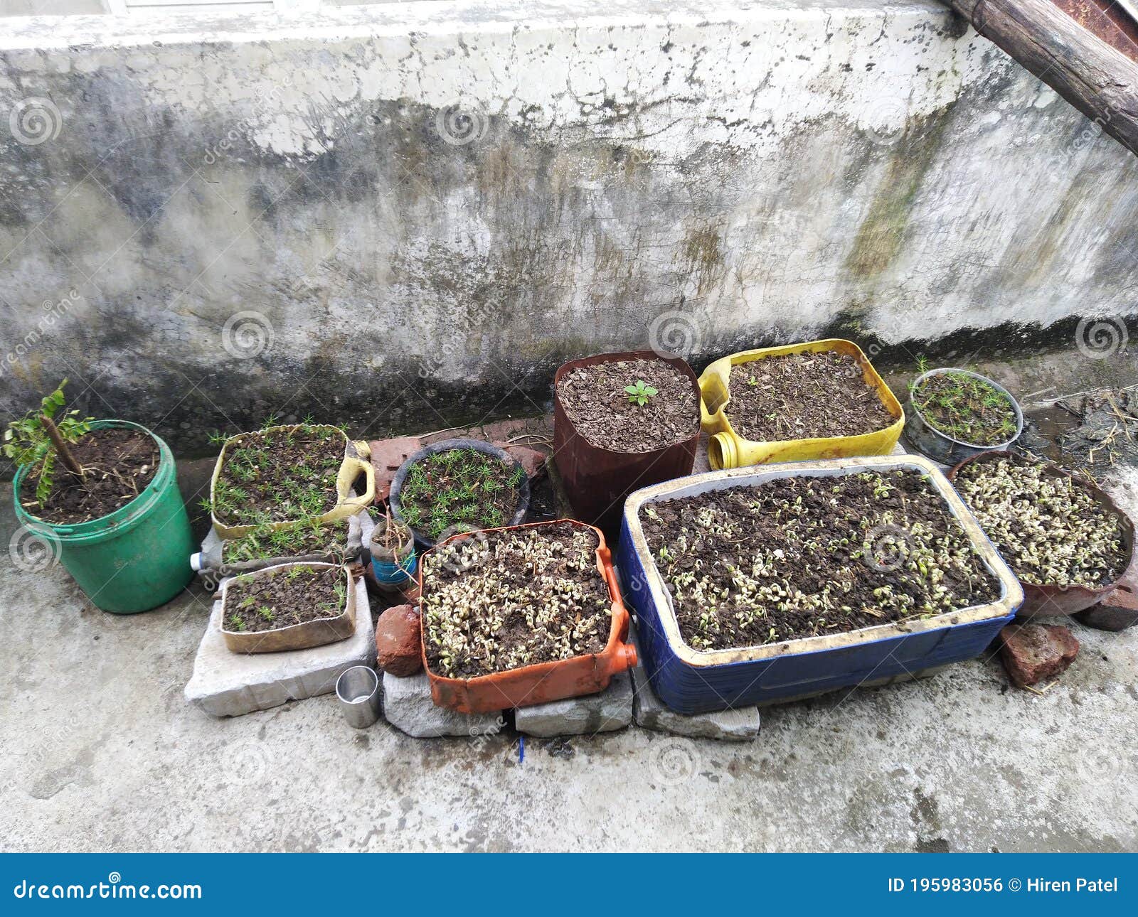 A small tarace garden a stock photo. Image of pond, tarace - 195983056