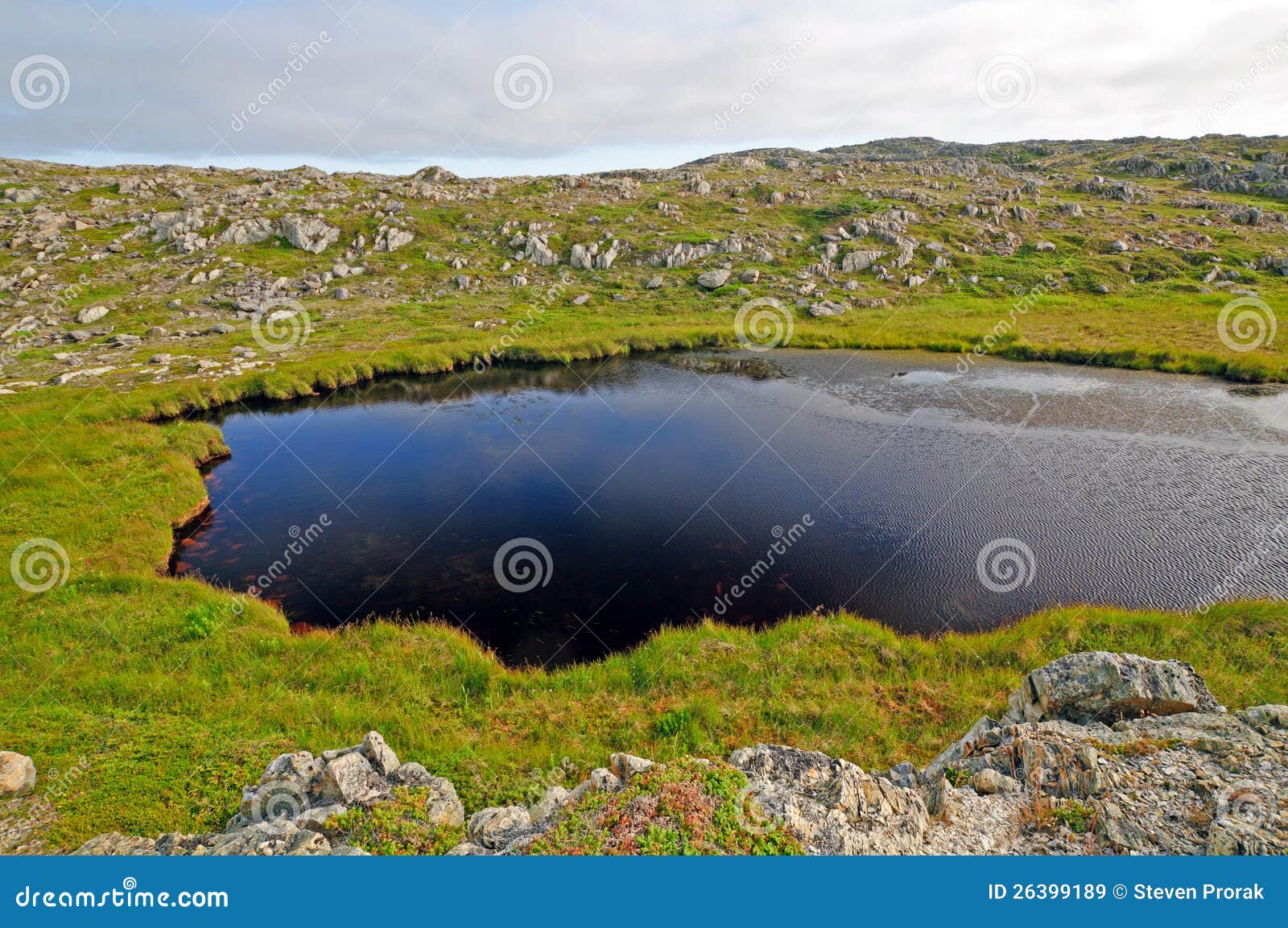 Small Tarn on a Remote Hillside Stock Image - Image of biome, marsh ...
