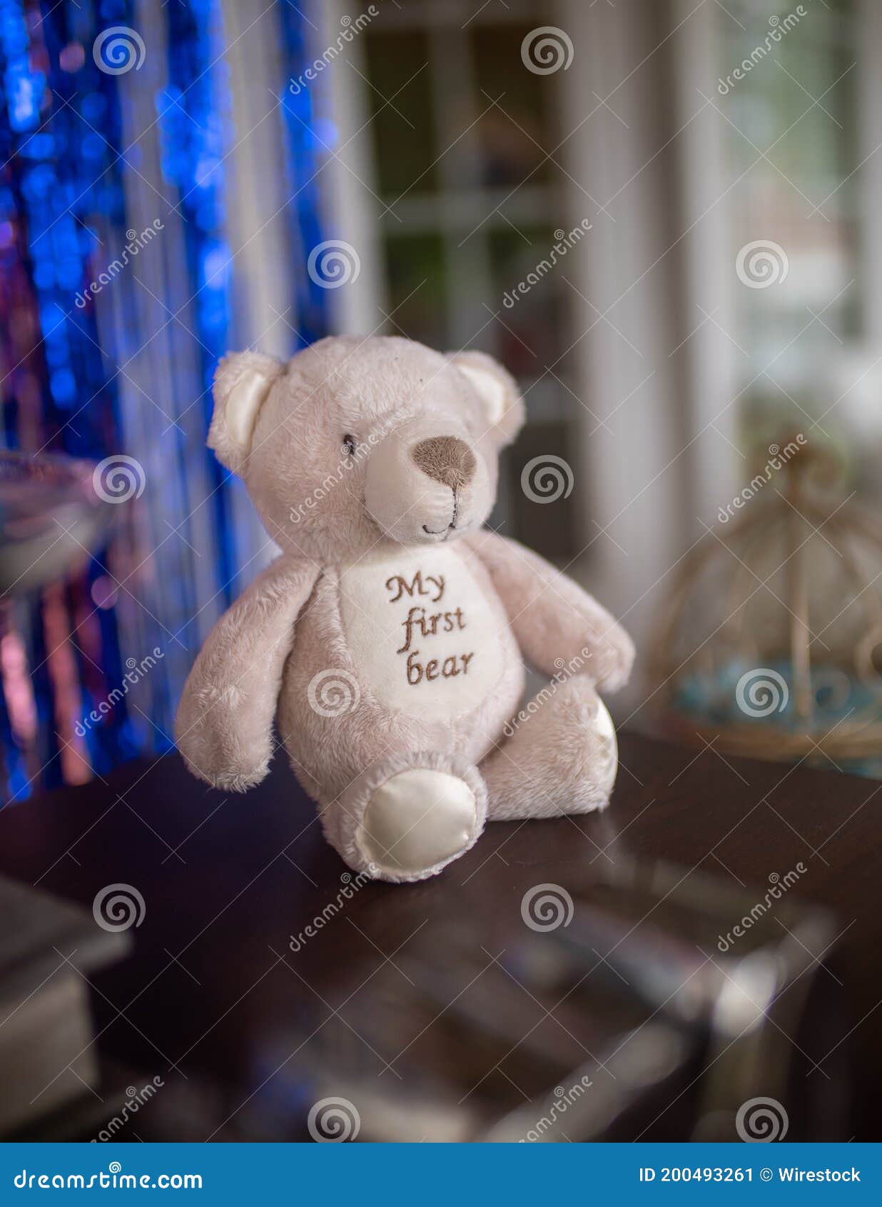 Small Teddy Bear with My First Bear Written on it Stock Image - Image ...