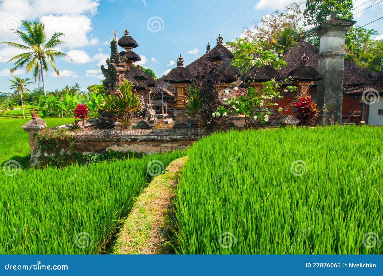 Small Temple at Rice Terrace, Bali, Indonesia Stock Image - Image of ...
