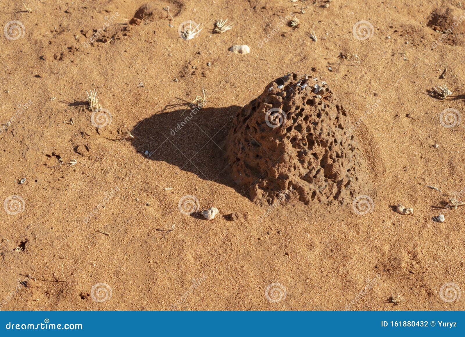 Small termite mound stock photo. Image of small, desert - 161880432