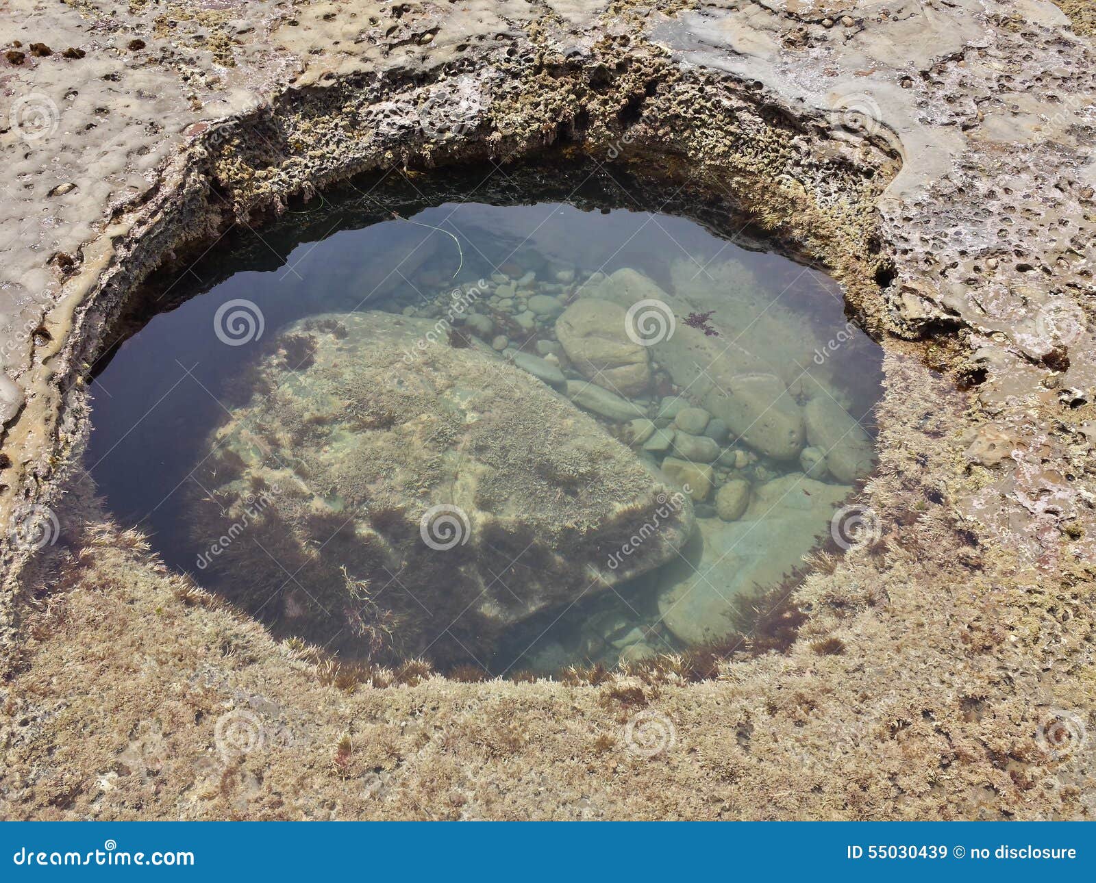 Small tide pool stock image. Image of tide, pool, natures - 55030439